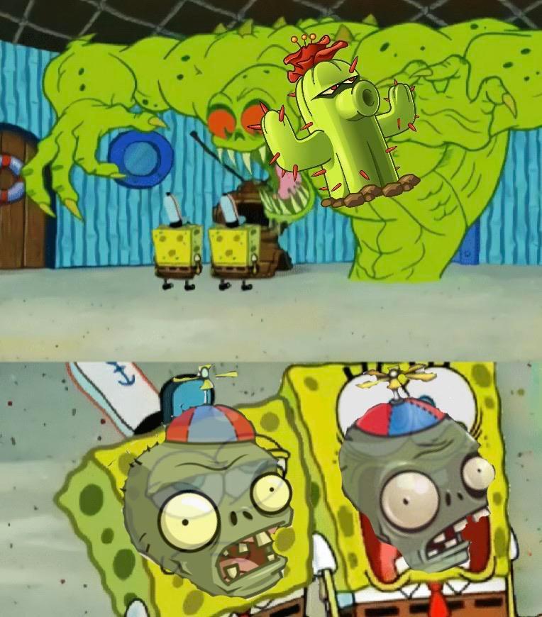 Buff cactus | Scrolller