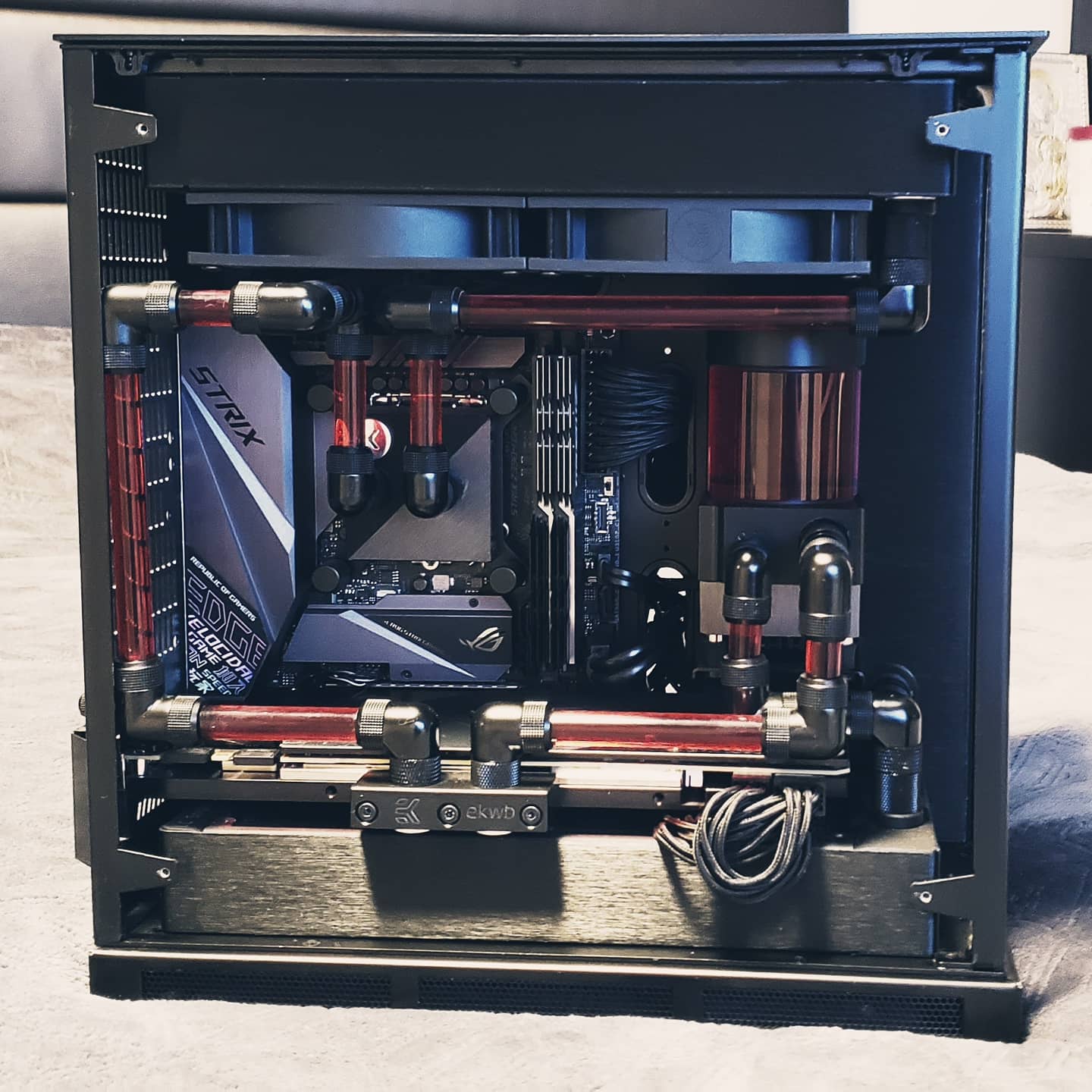 BUILD COMPLETE! Thanks to the reddit community and people who sold the parts to me! | Scrolller