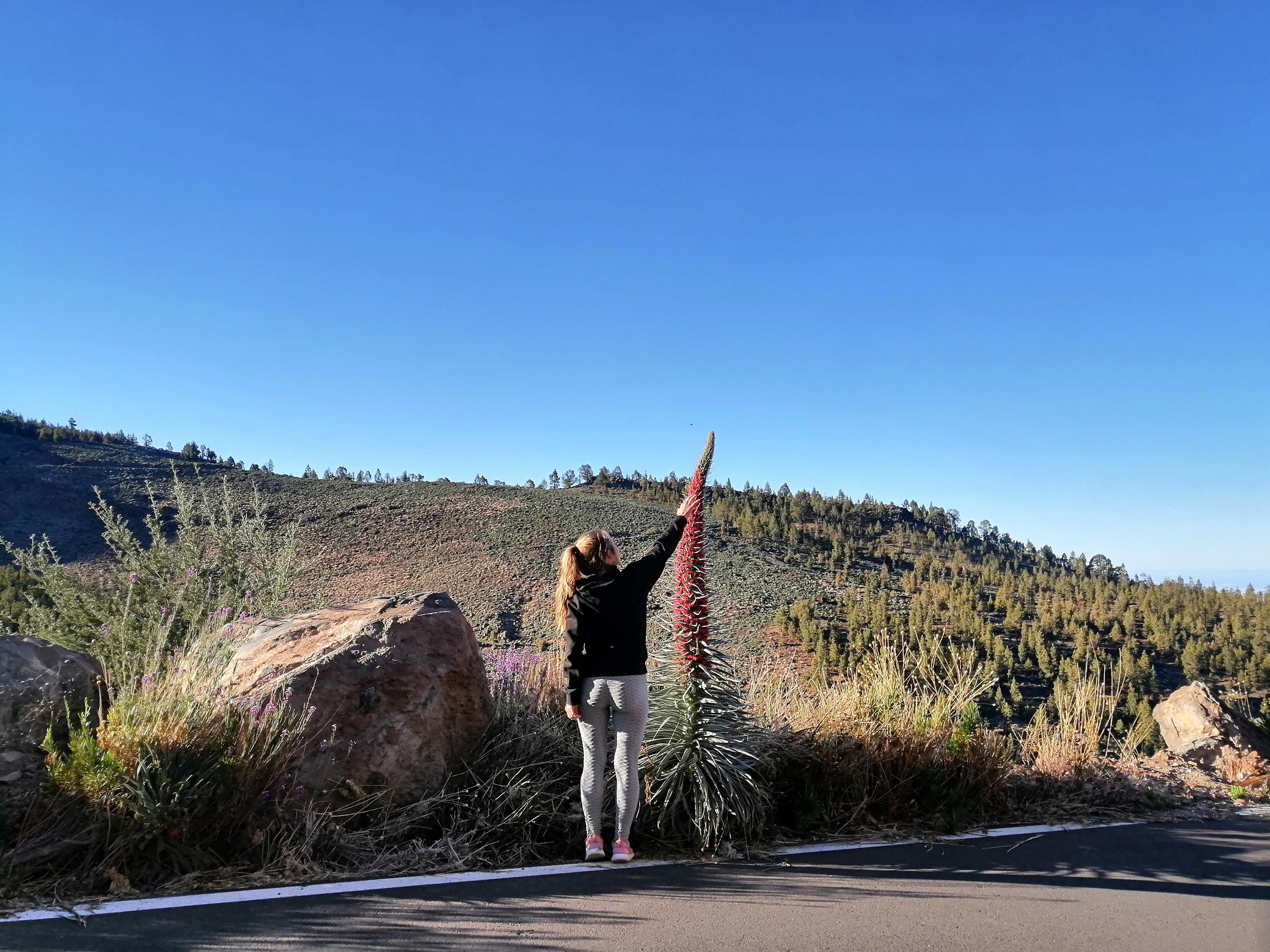 Bum alert | Scrolller