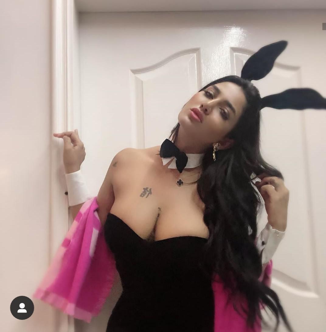 Bunny III | Scrolller