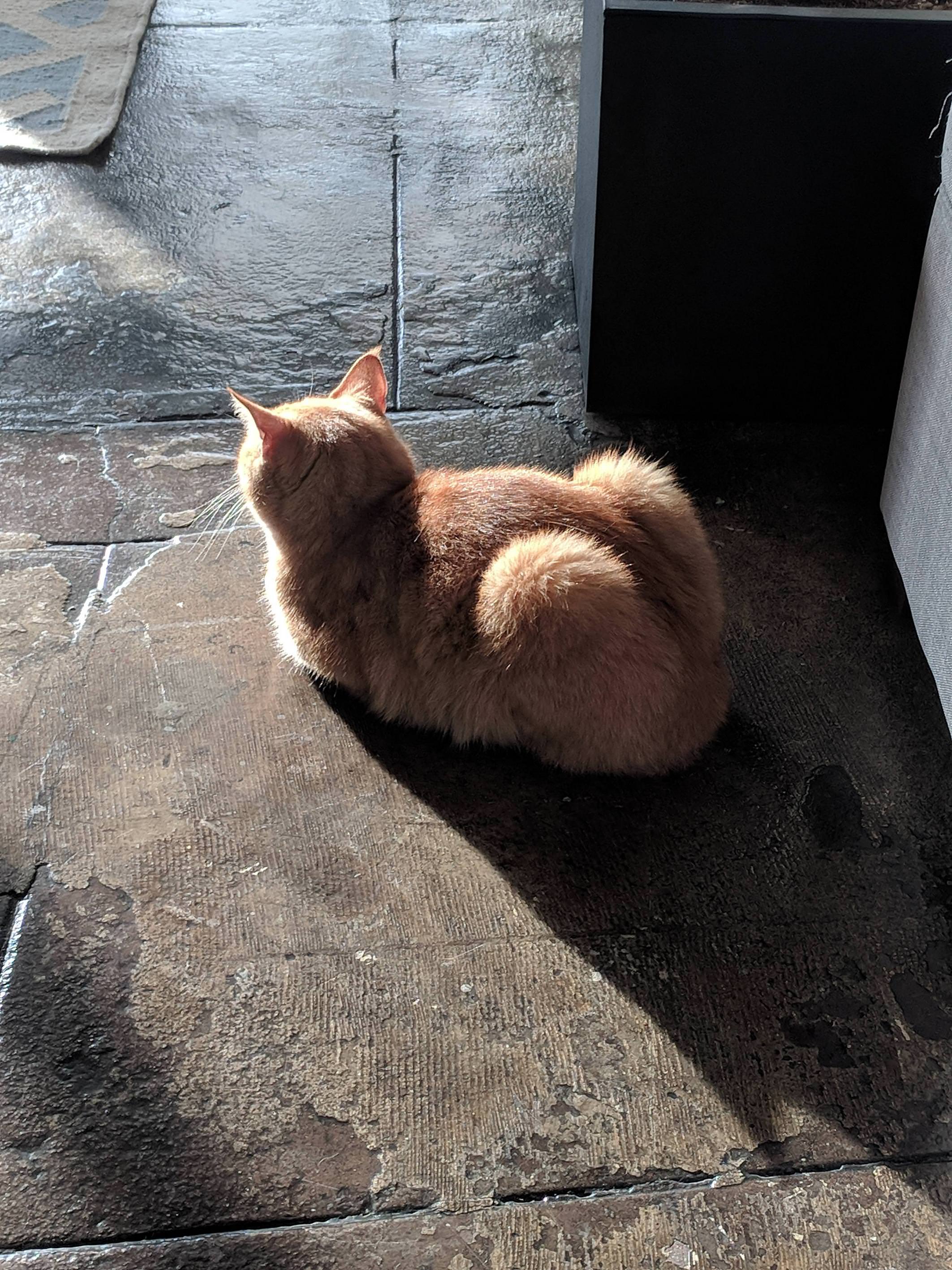 Buns in the sun | Scrolller