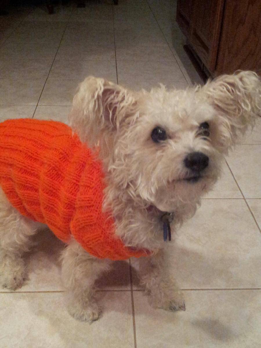 Busting out the spring wardrobe | Scrolller