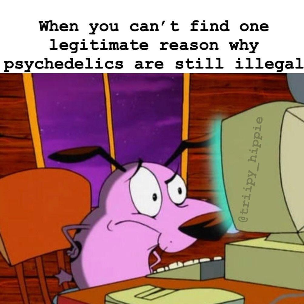 But really, why tho? | Scrolller