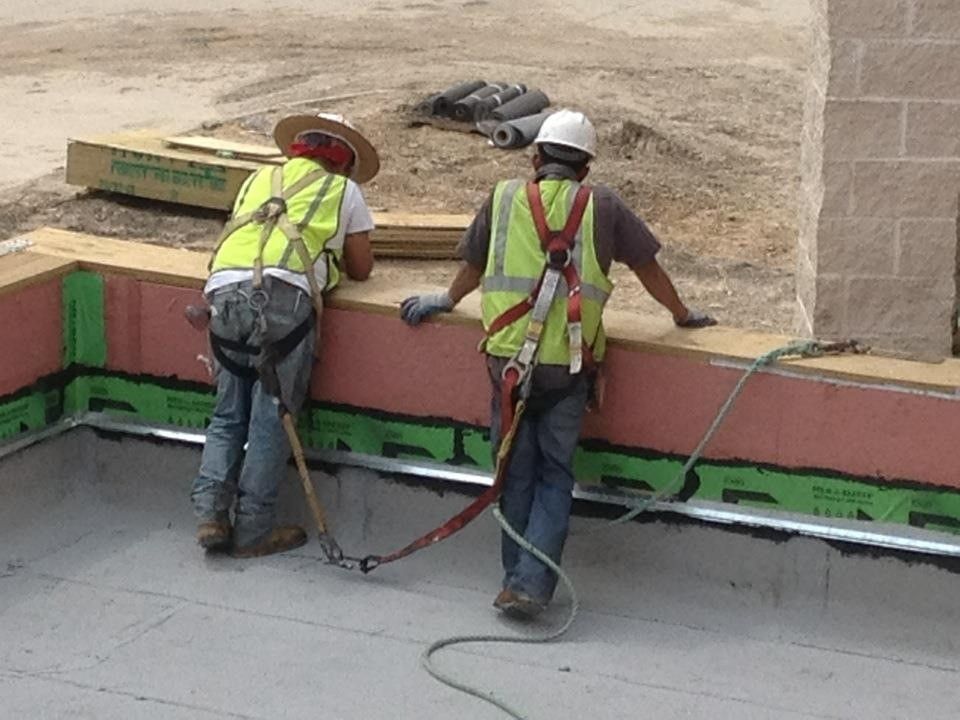 "But...this IS our fall protection plan." | Scrolller