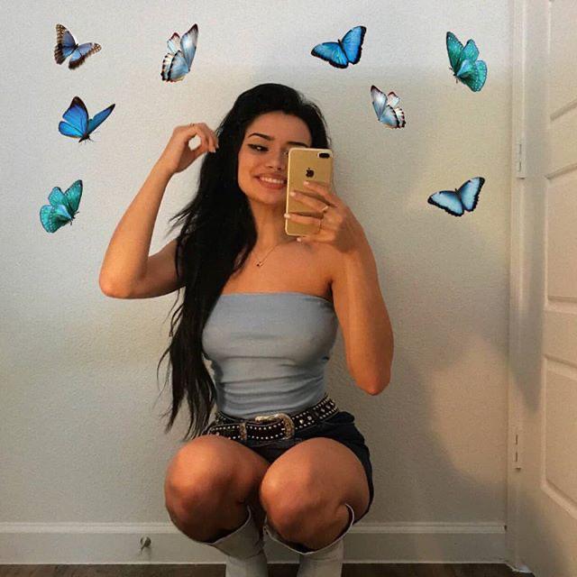 butterflies | Scrolller