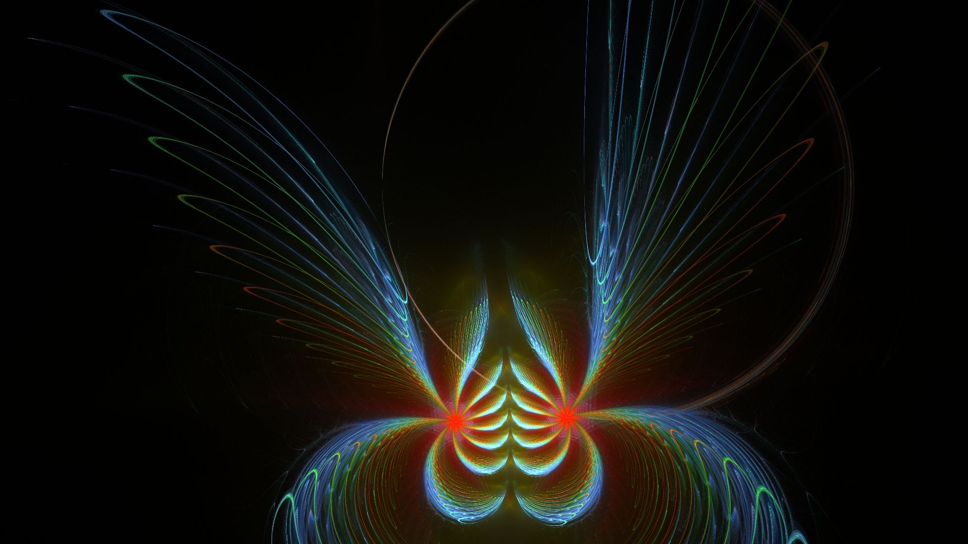 Butterfly | Scrolller