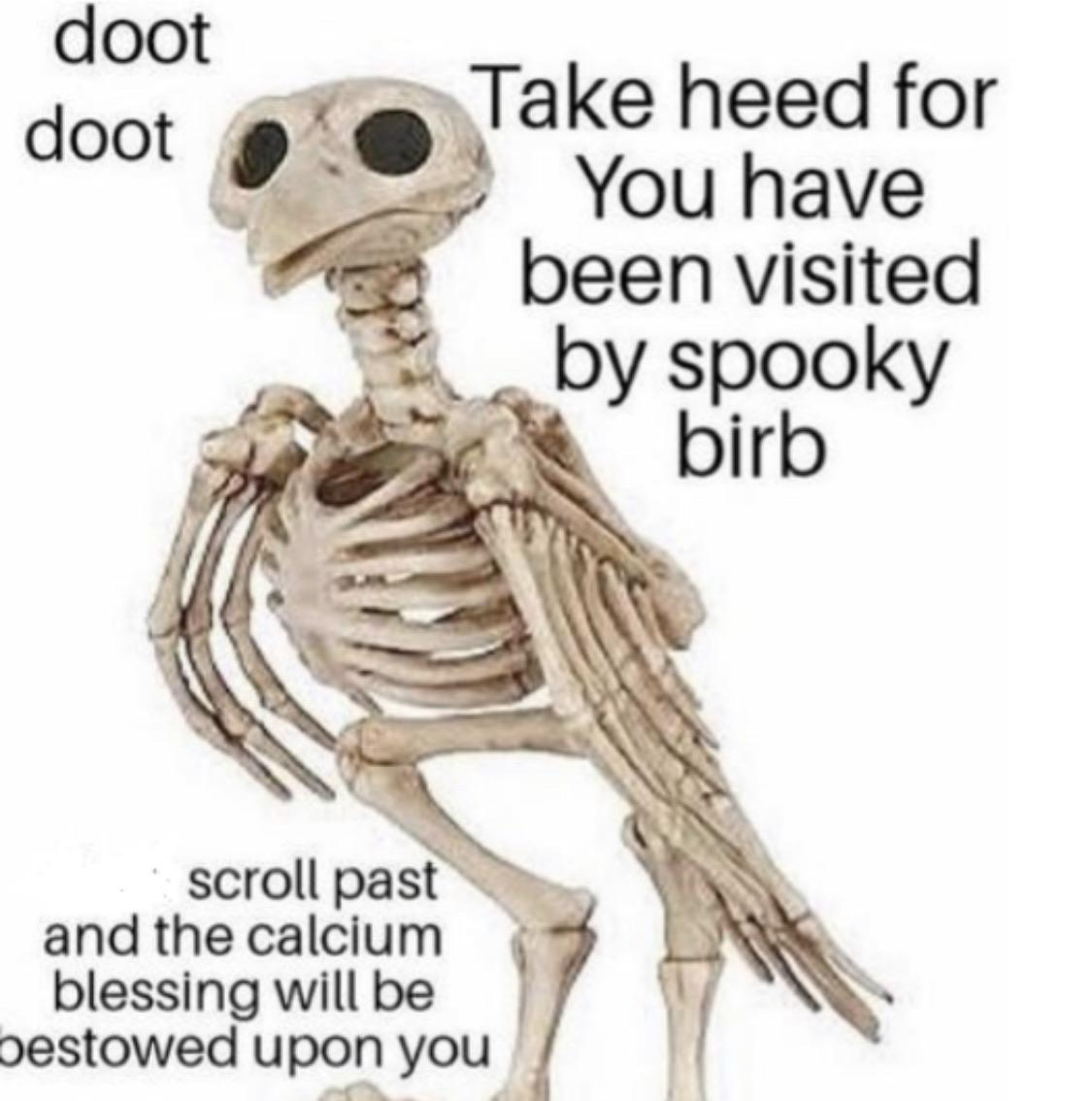 Calcium blessings | Scrolller