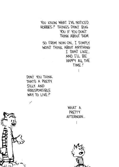 Calvin, the zen master. | Scrolller