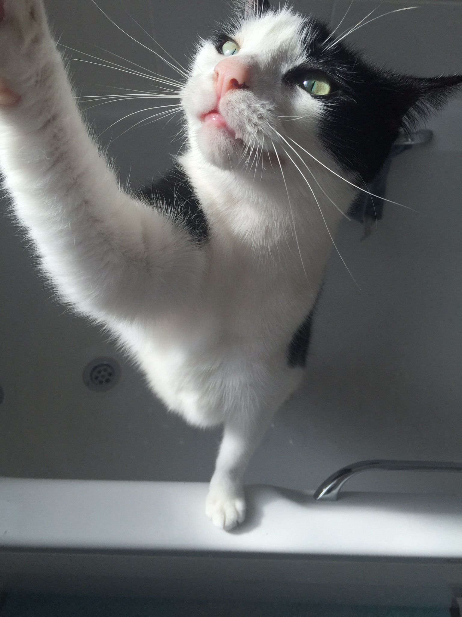 Camera boop | Scrolller