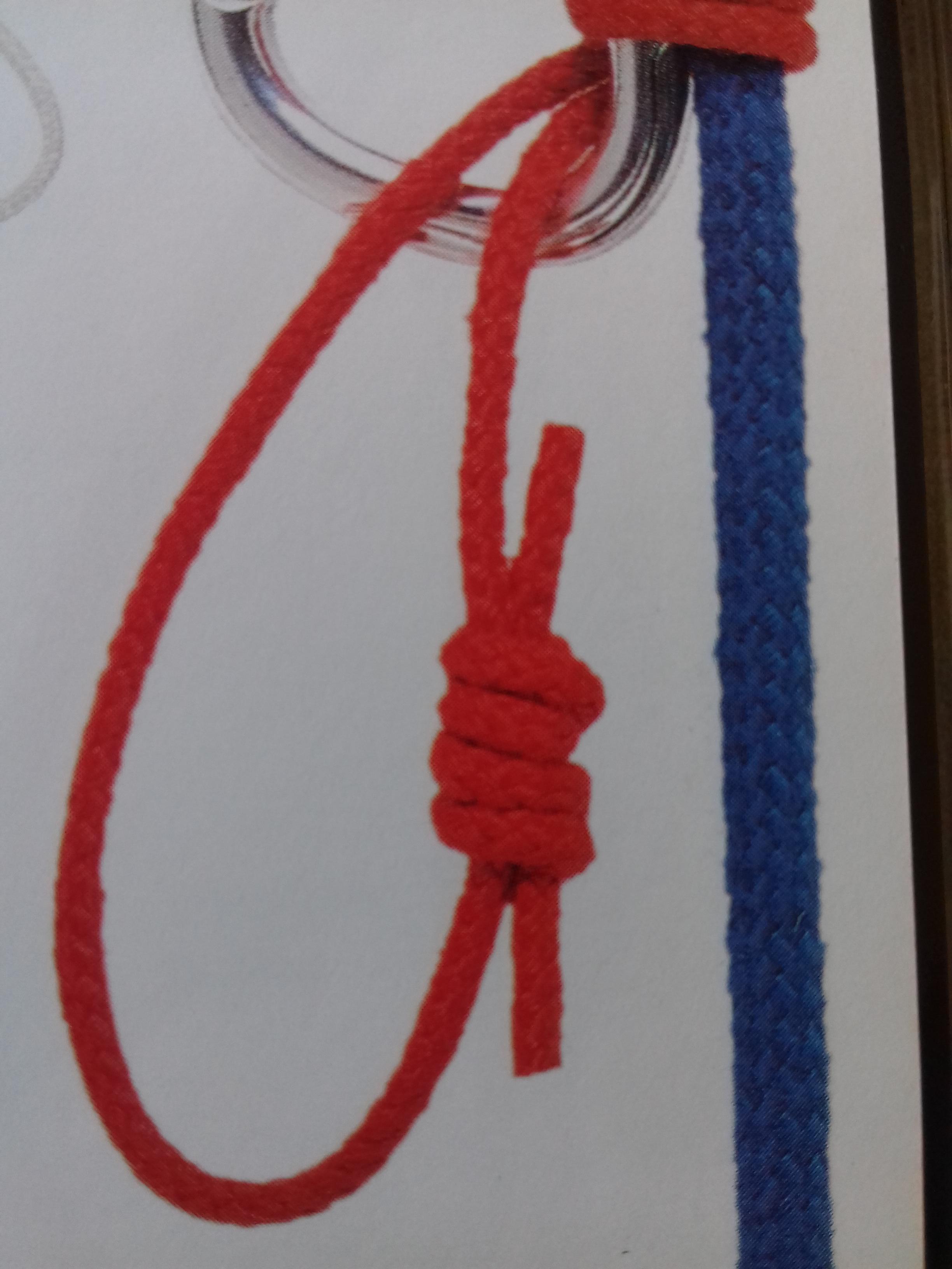 Can anybody identify this knot? | Scrolller