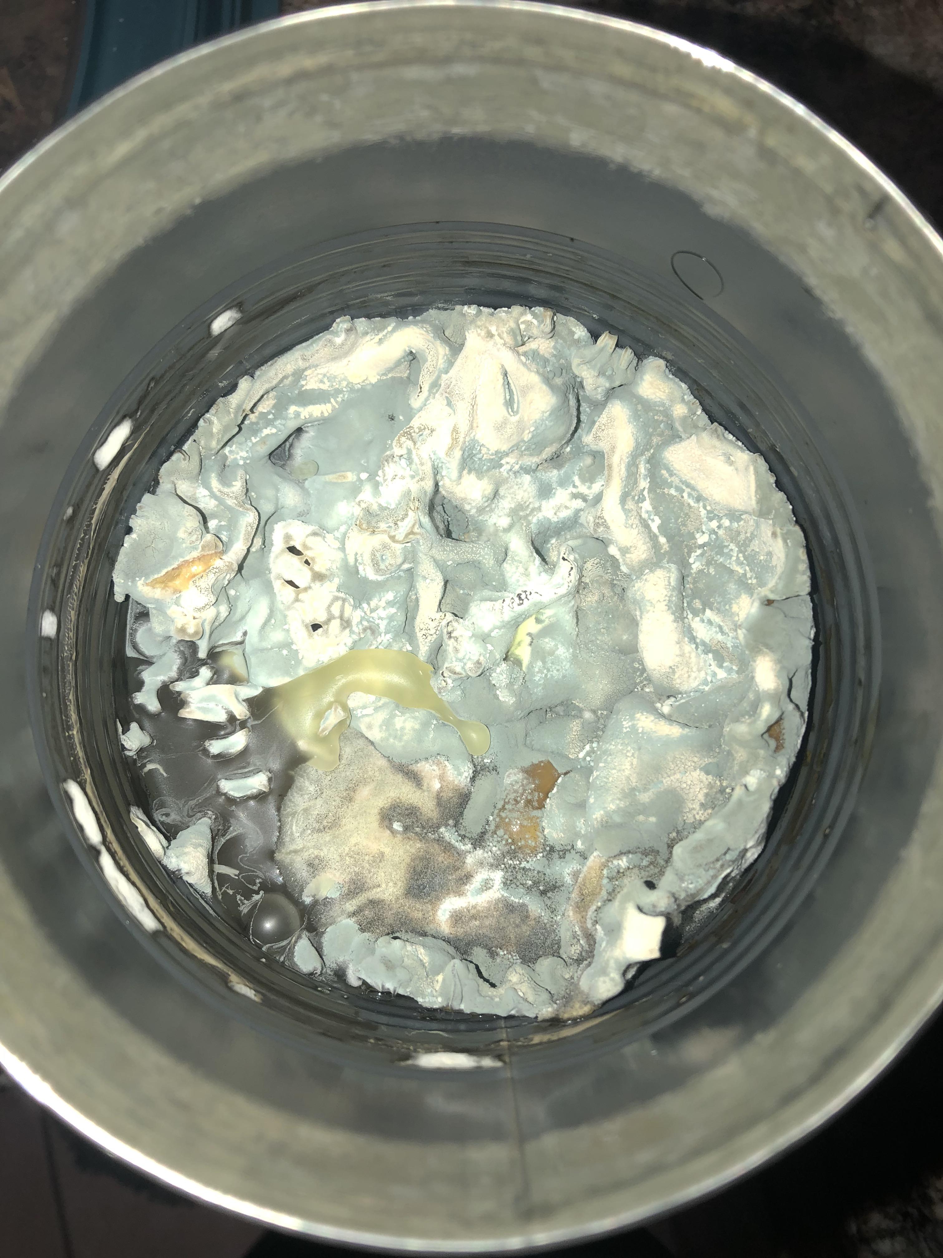 Can of pineapple juice left open | Scrolller