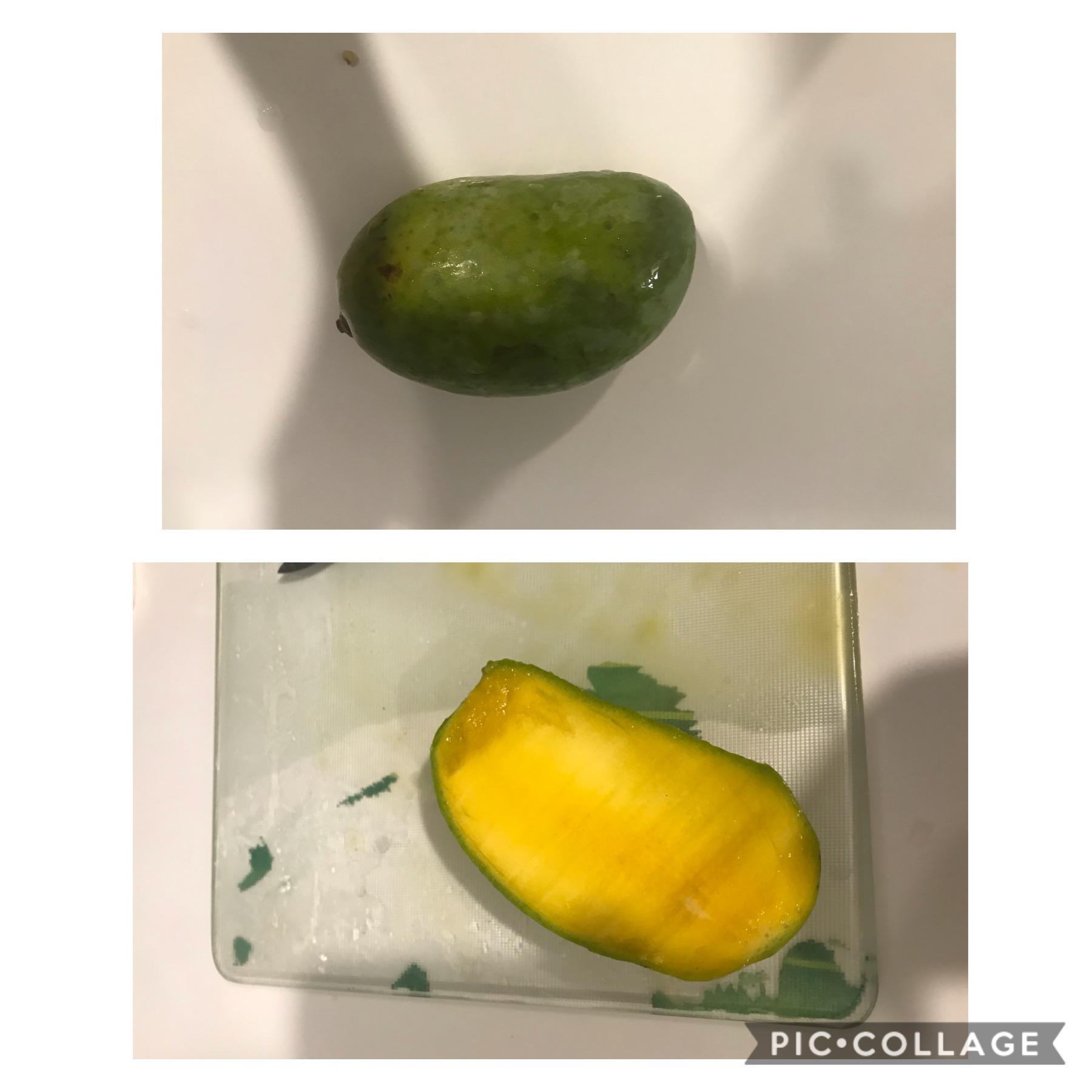 Can someone help me identify what cultivar of mango this is? All I know ... Can someone help me identify what cultivar of mango this is? All I know ...