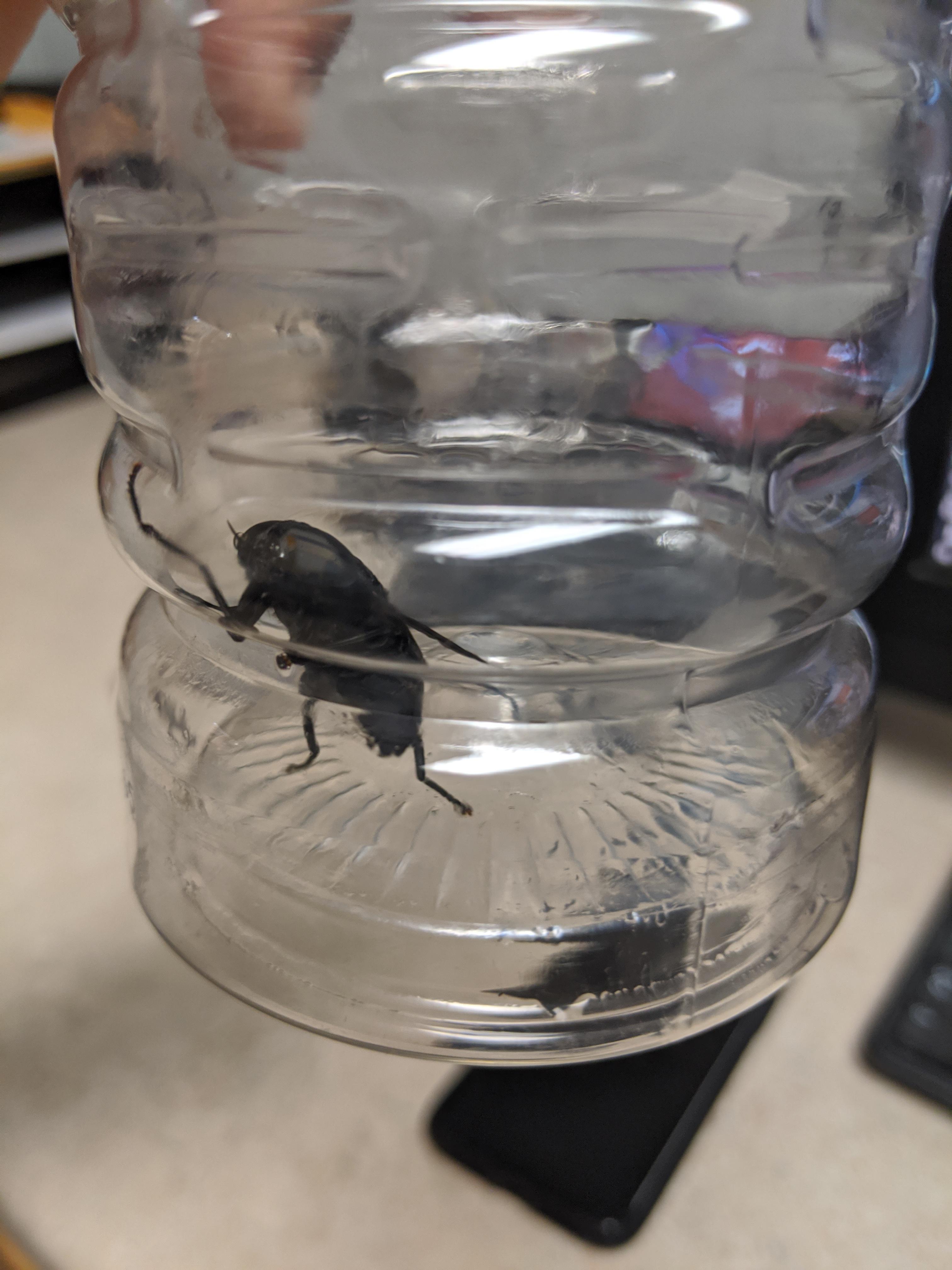 Can someone identify this please? | Scrolller