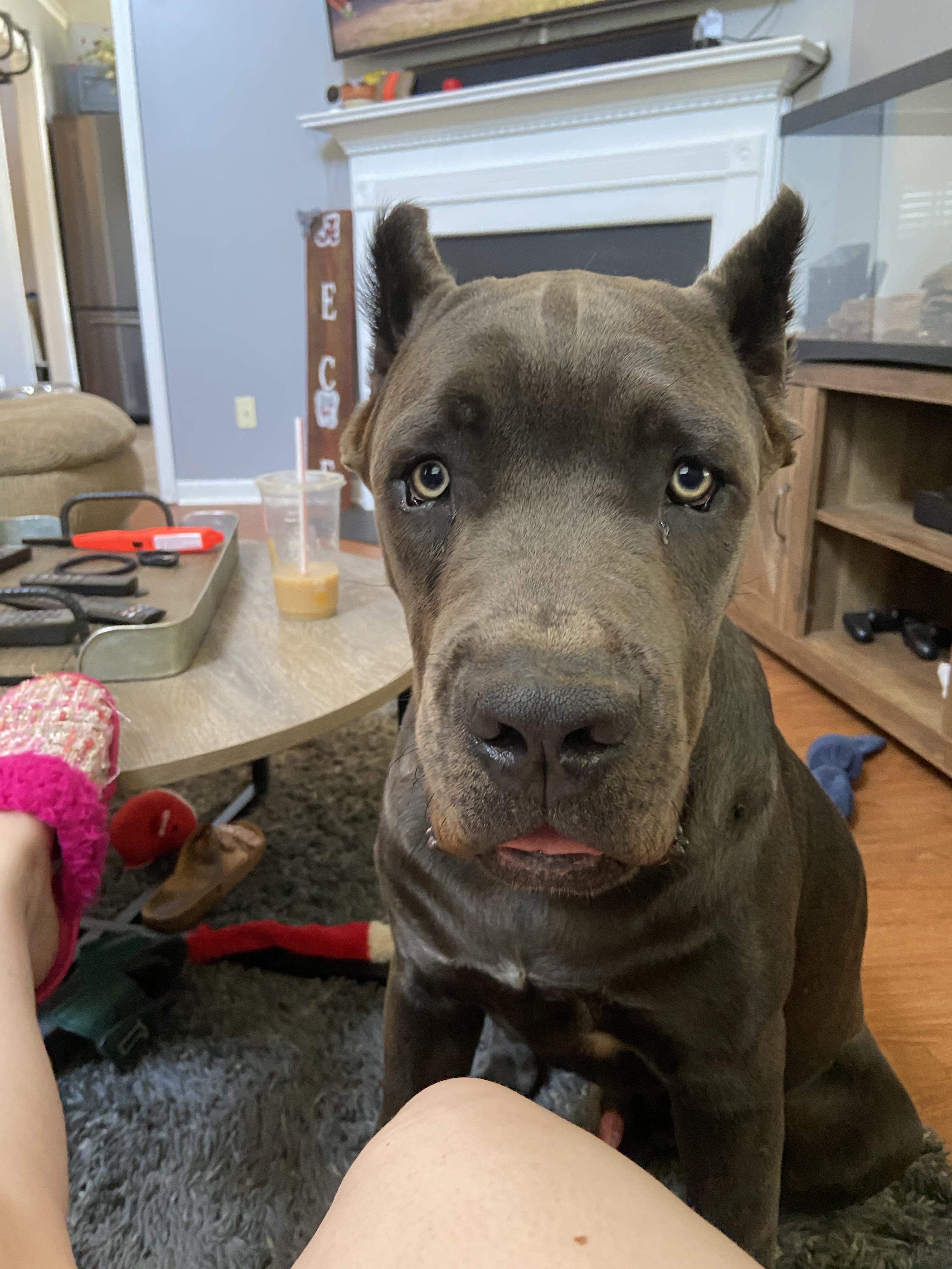 Can we go out now Please ?! | Scrolller