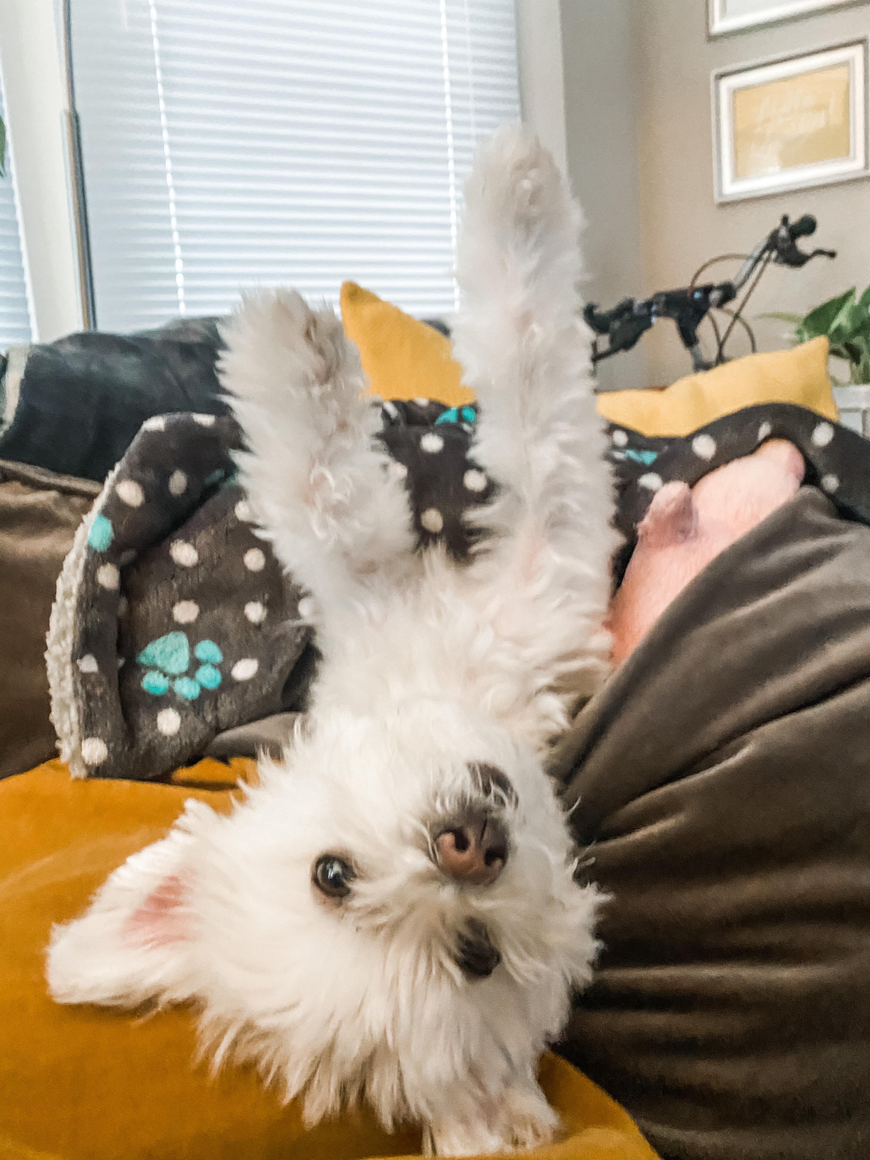 Can we go outside yet?! | Scrolller