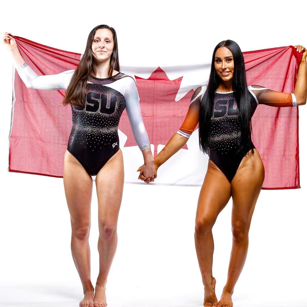 Canadian Beavers | Scrolller