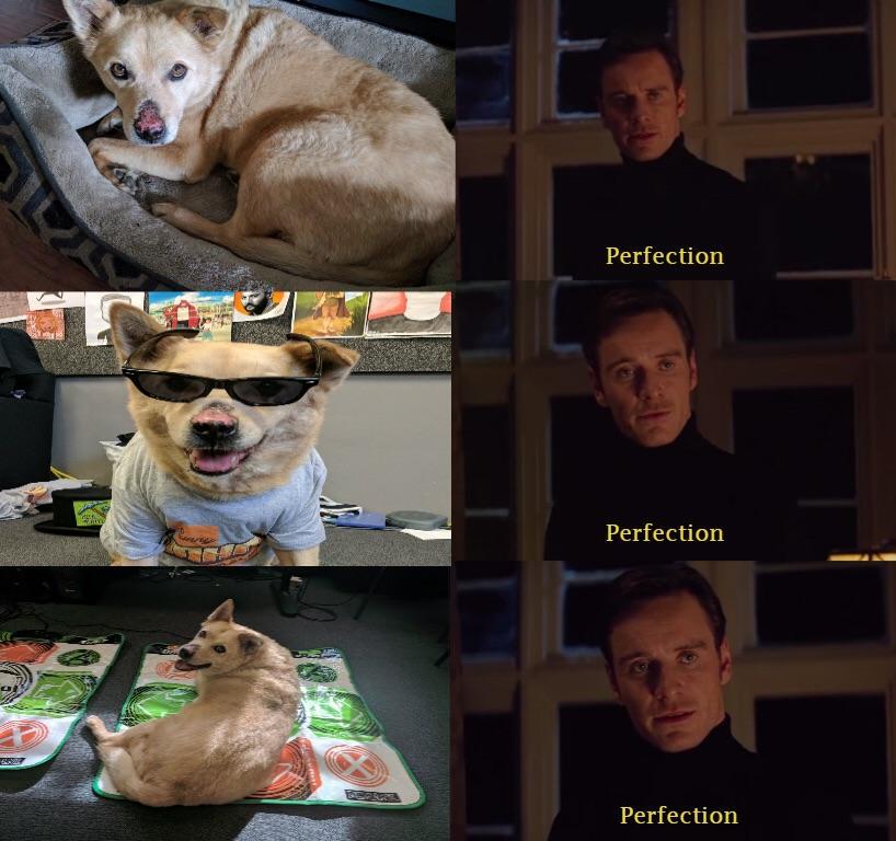 Can't perfect perfection. | Scrolller