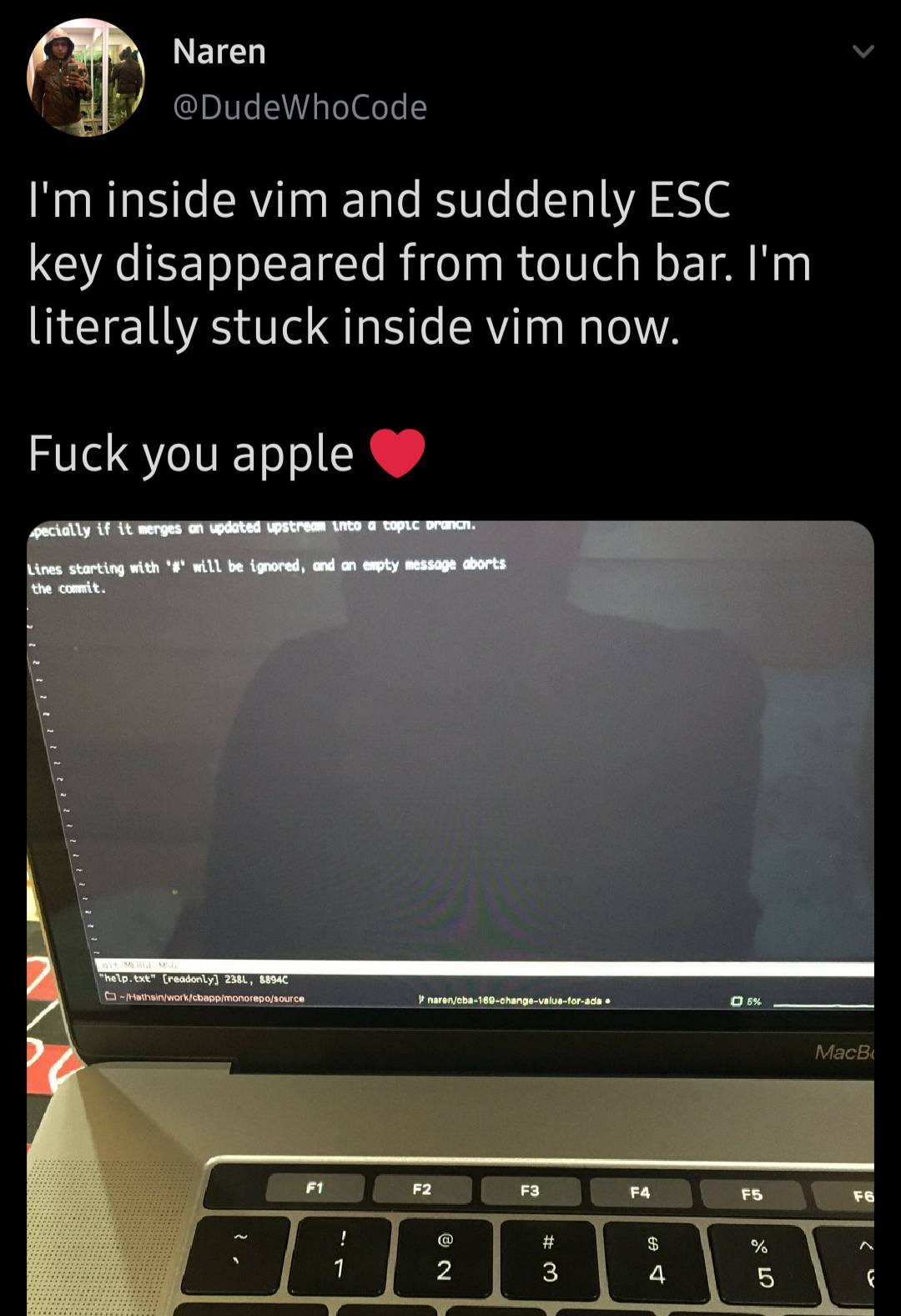 Can't quit vim now. | Scrolller