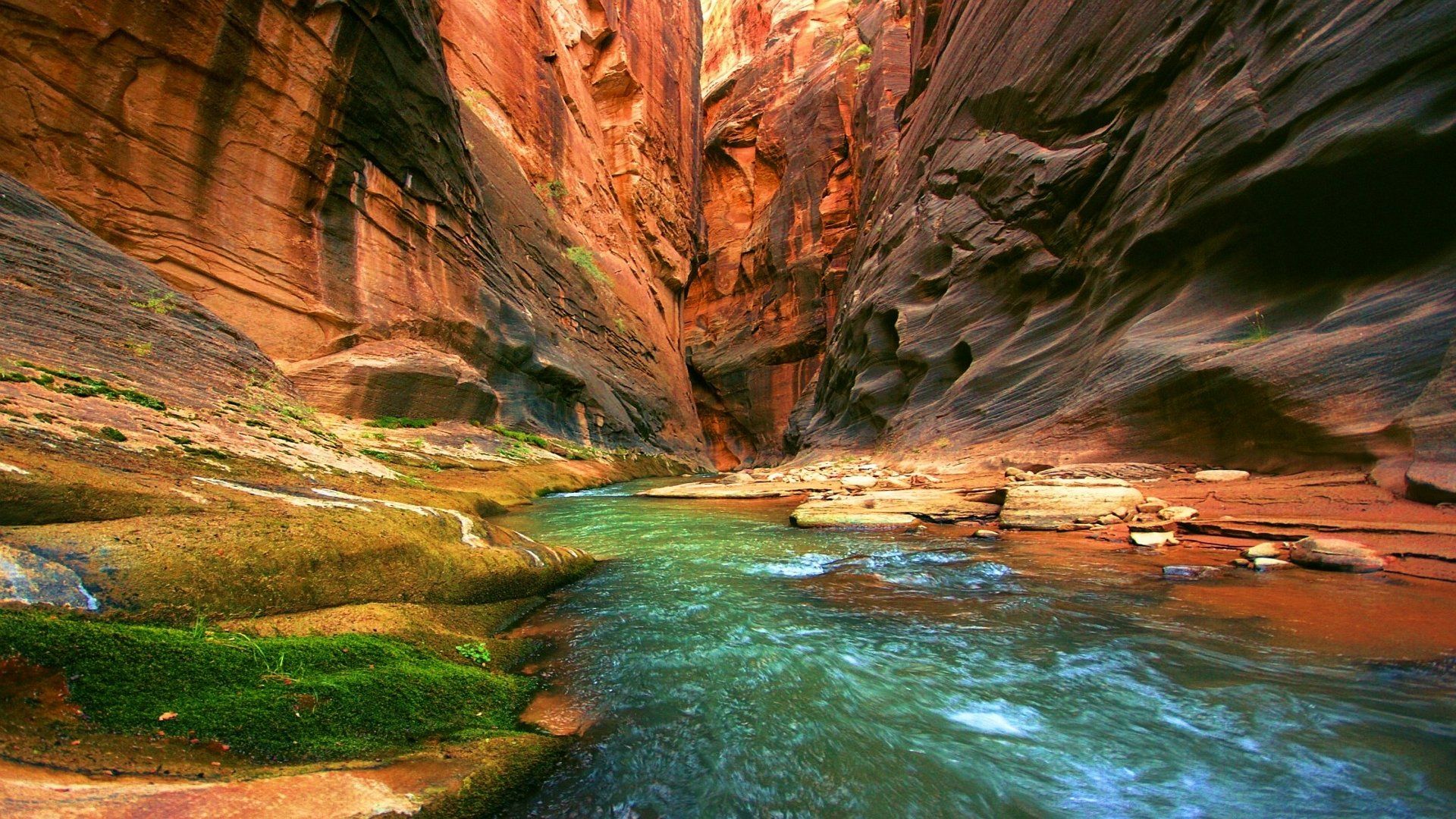 Canyon [1920x1080] | Scrolller