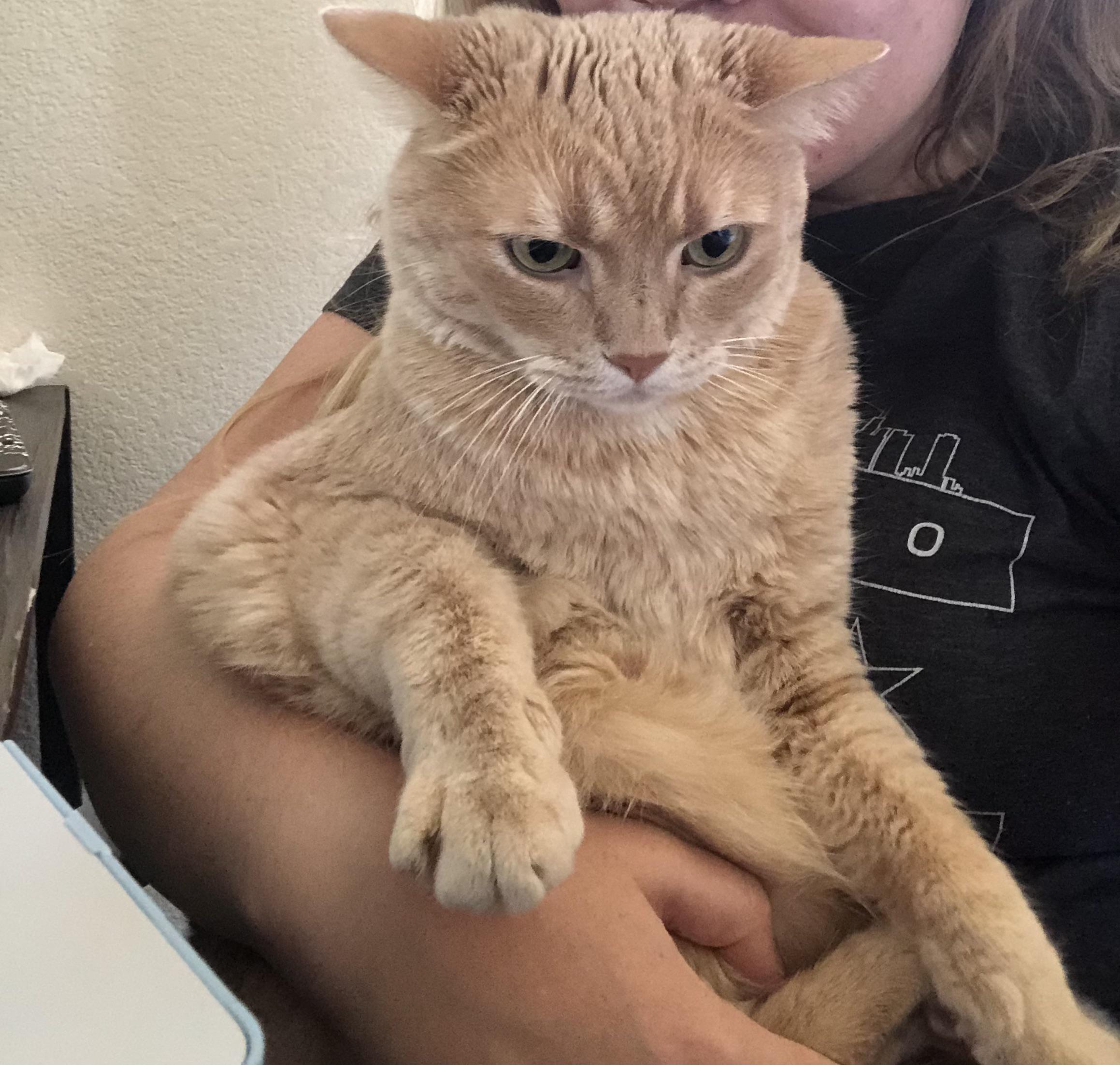 Capt. Dex preparing for take off | Scrolller