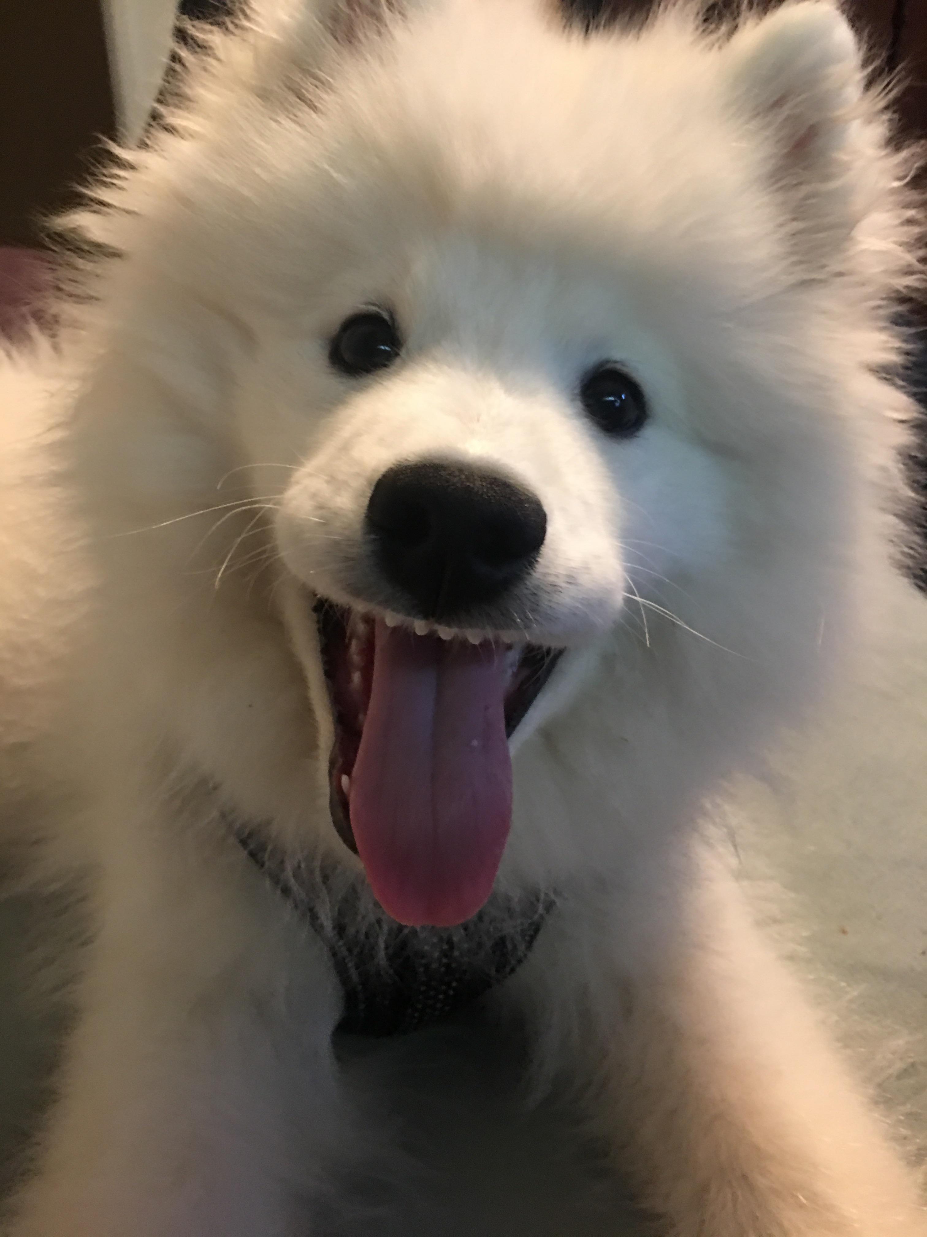 Caption this | Scrolller