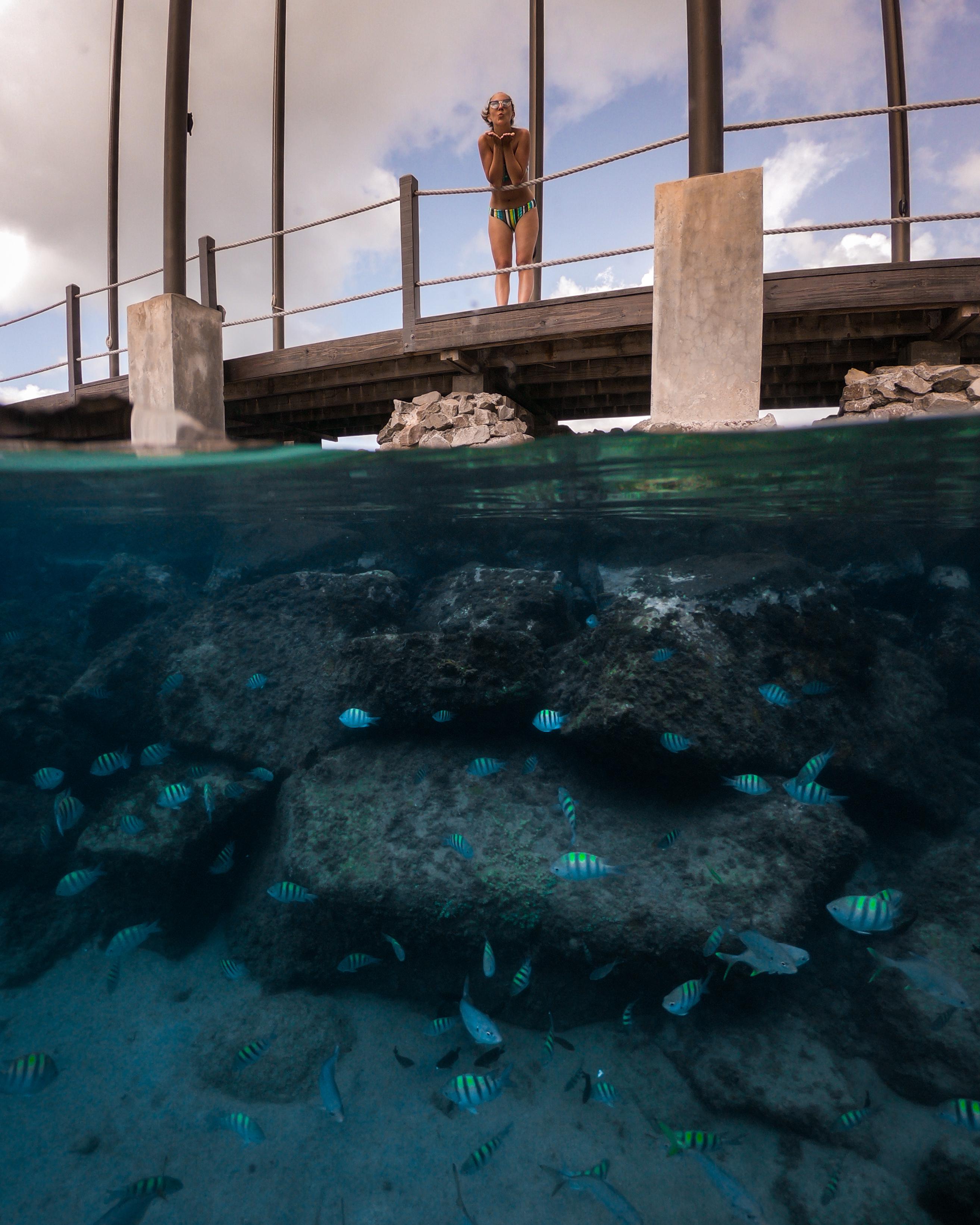 Caribbean Vibes - Hero 6B + Dome Port | Scrolller