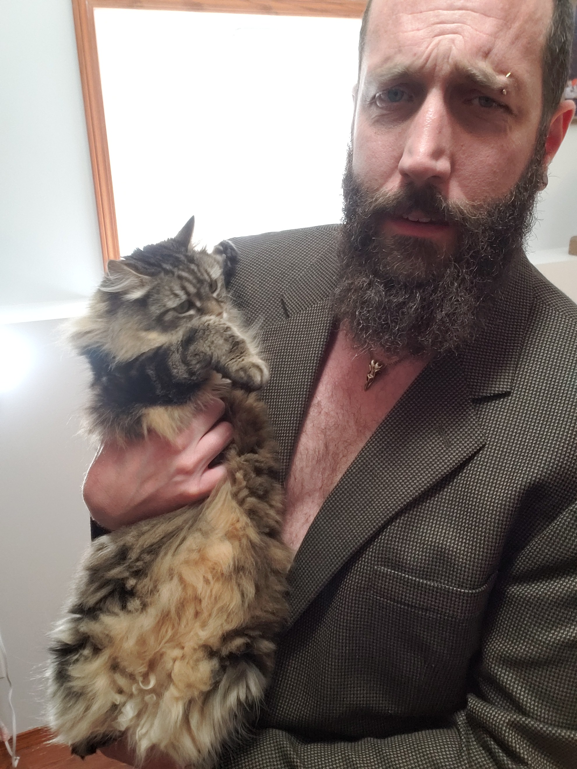 Cat daddy | Scrolller