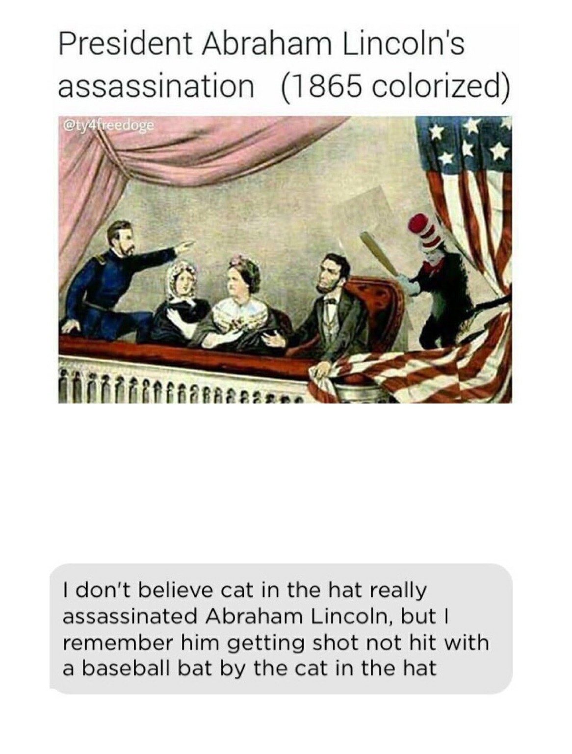 Cat in the Hat | Scrolller