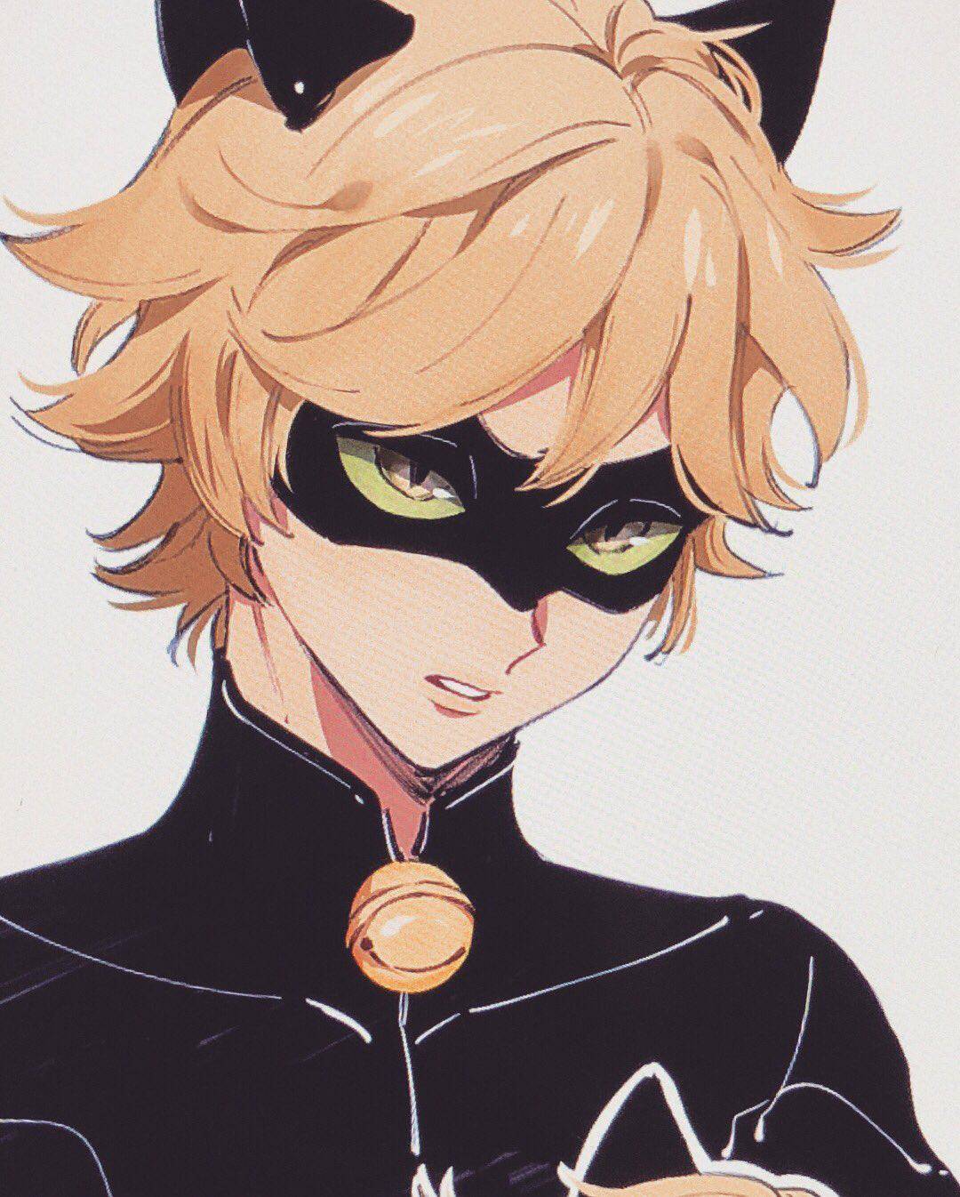 Cat Noir [Miraculous] | Scrolller