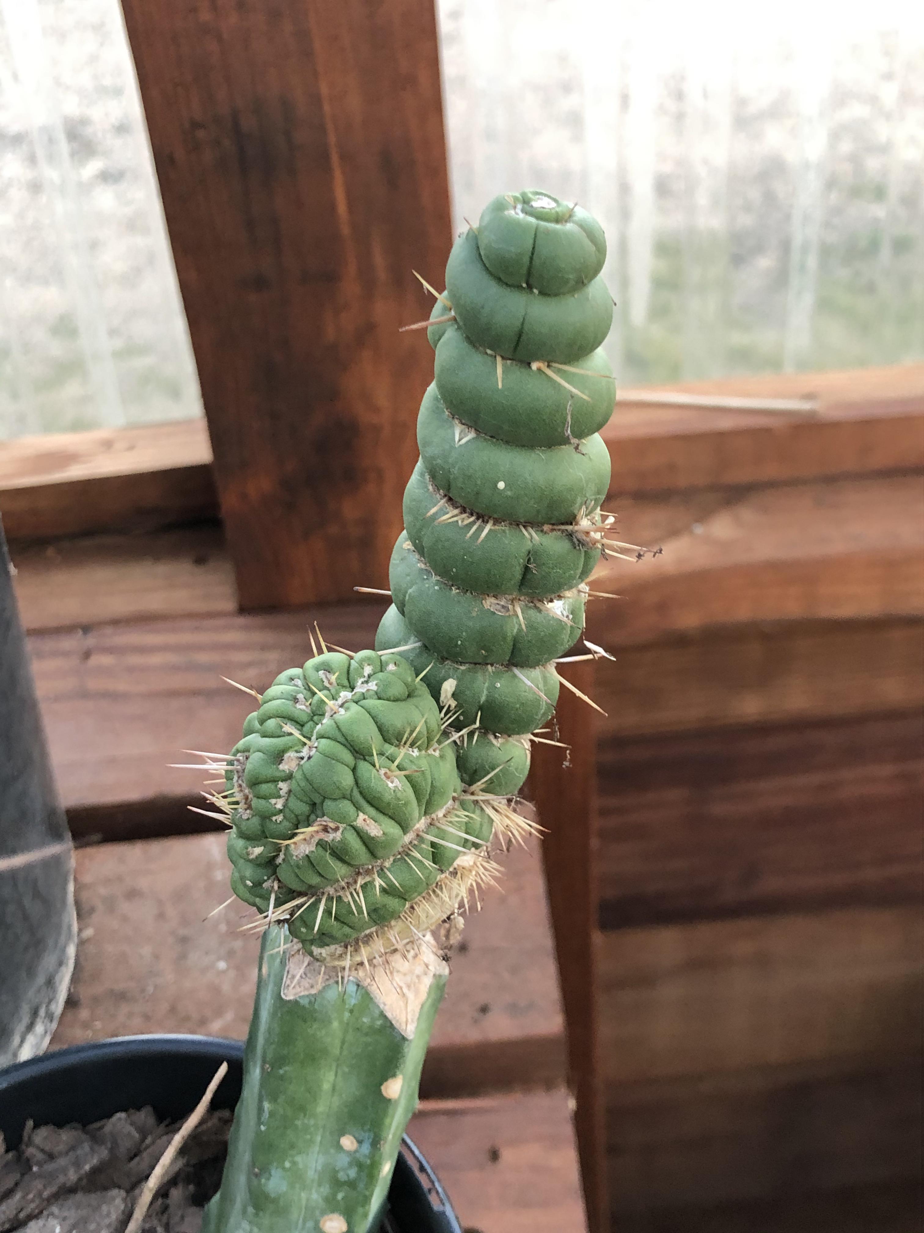 Catchy title here | Scrolller