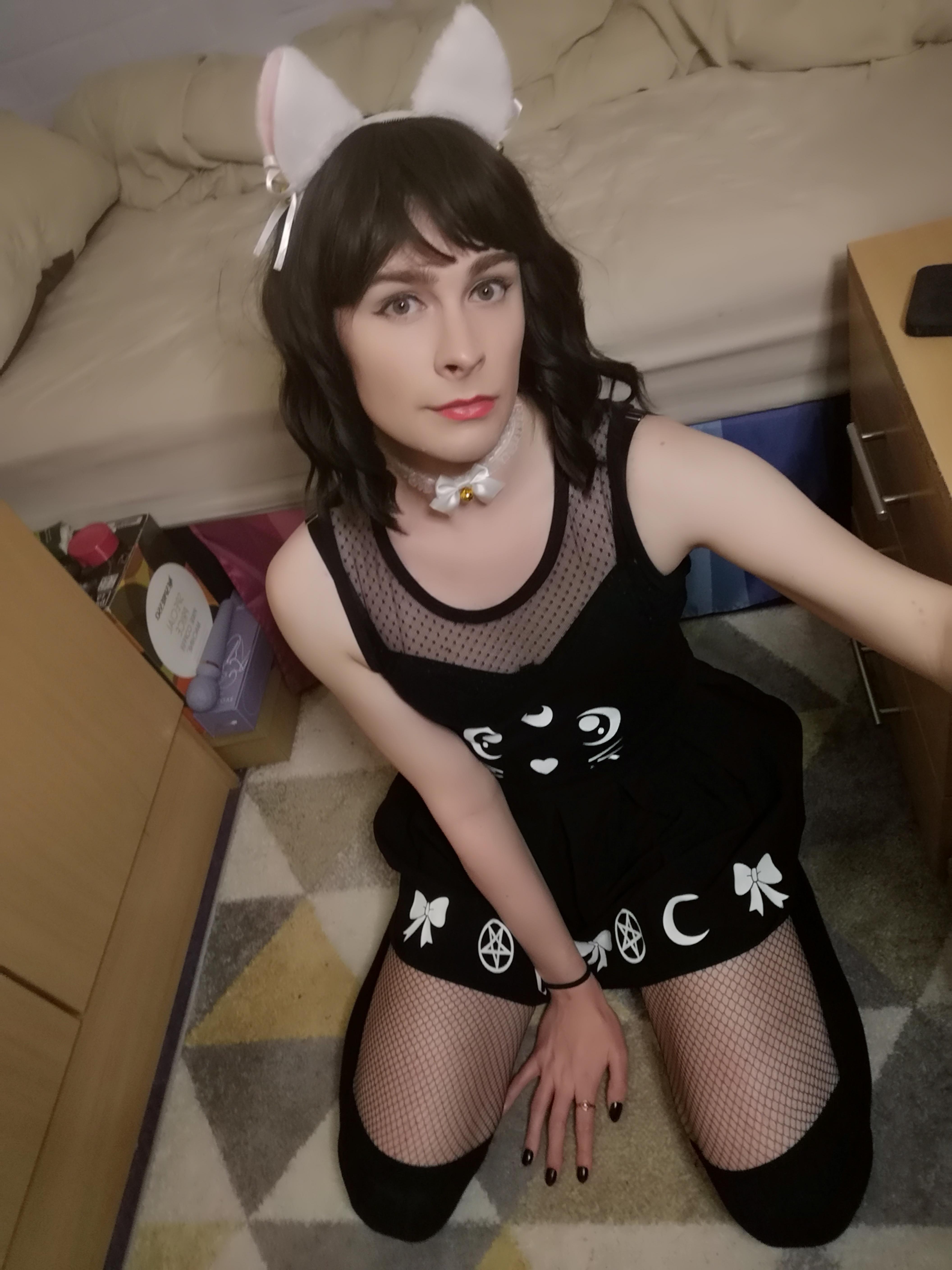 Catgirl ready to please | Scrolller