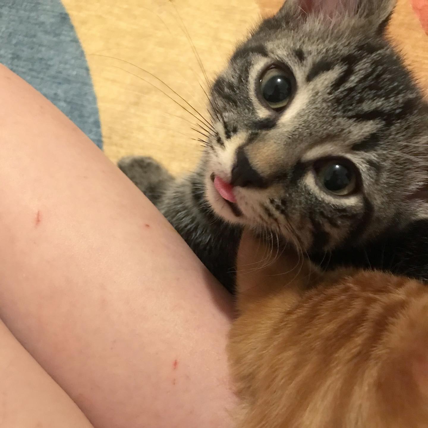 Caught cleaning his brother | Scrolller