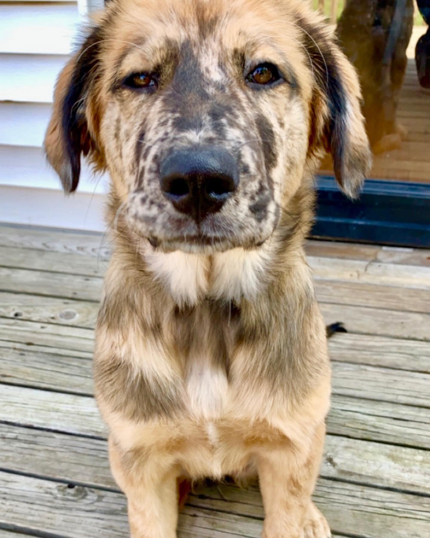 caught her questioning me again.. | Scrolller