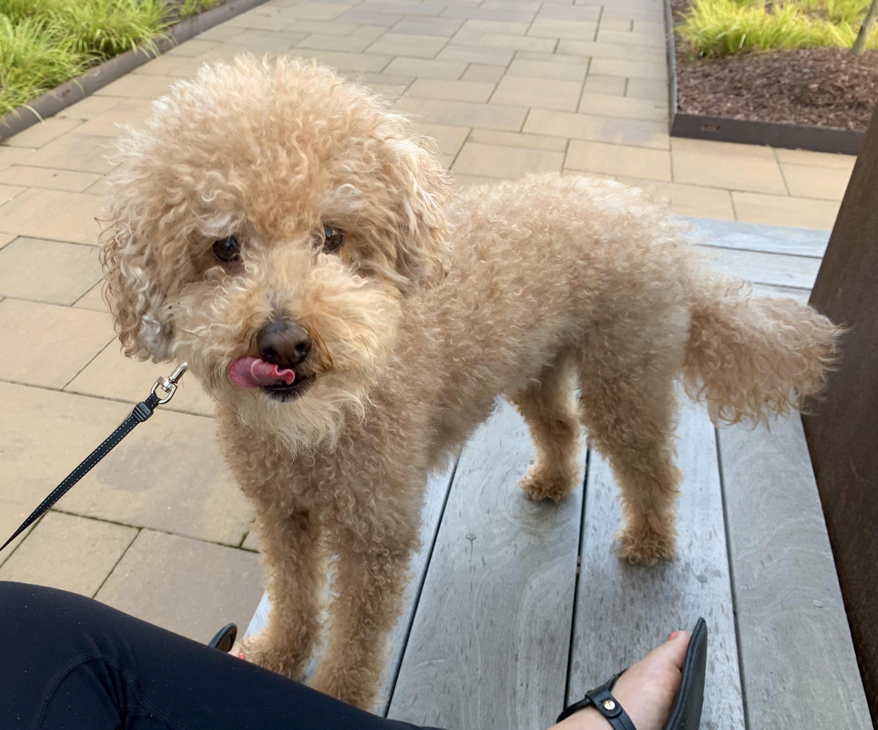 Caught him mid-lick😛 | Scrolller