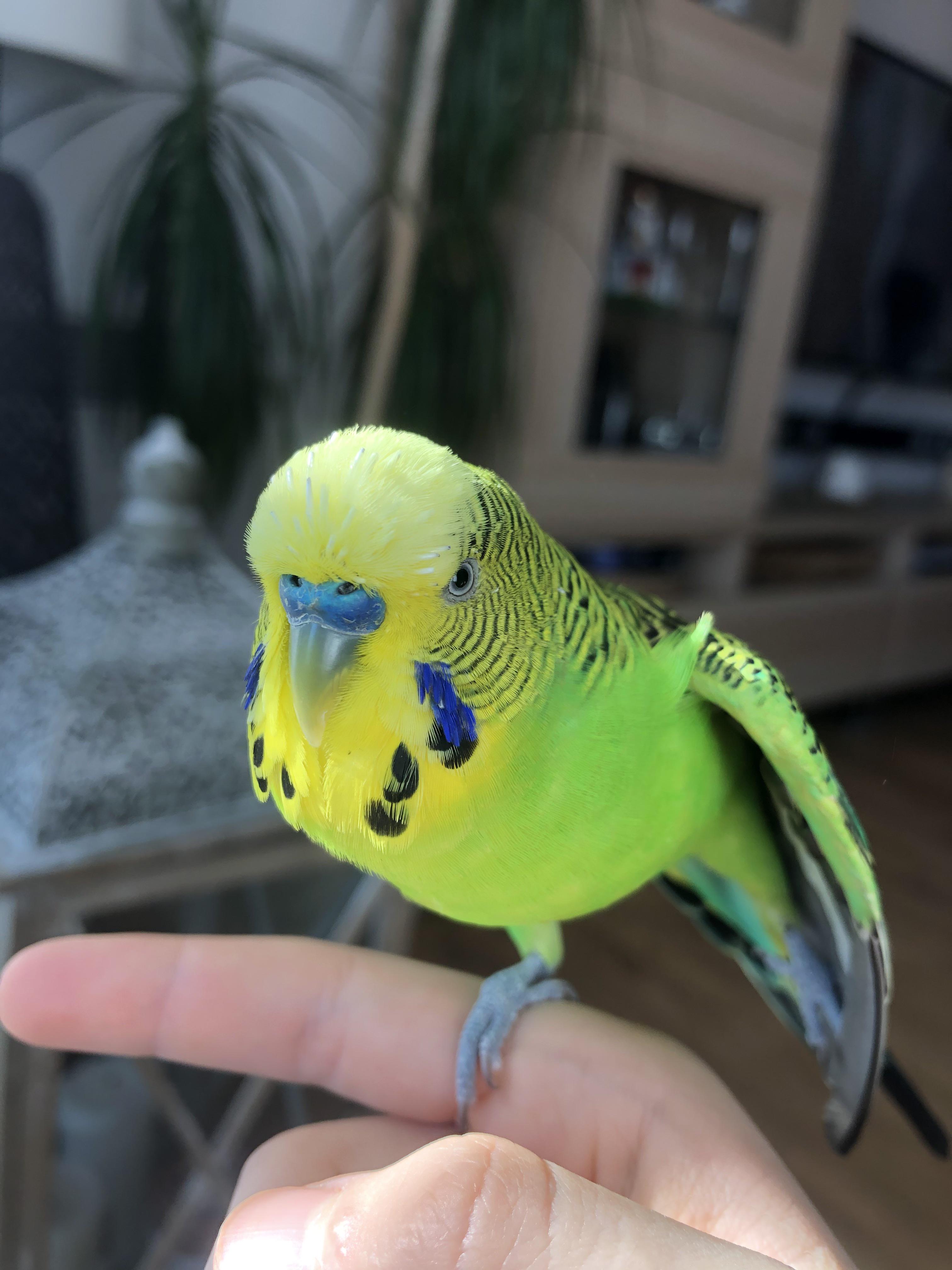 Caught him mid stretch 😅 | Scrolller