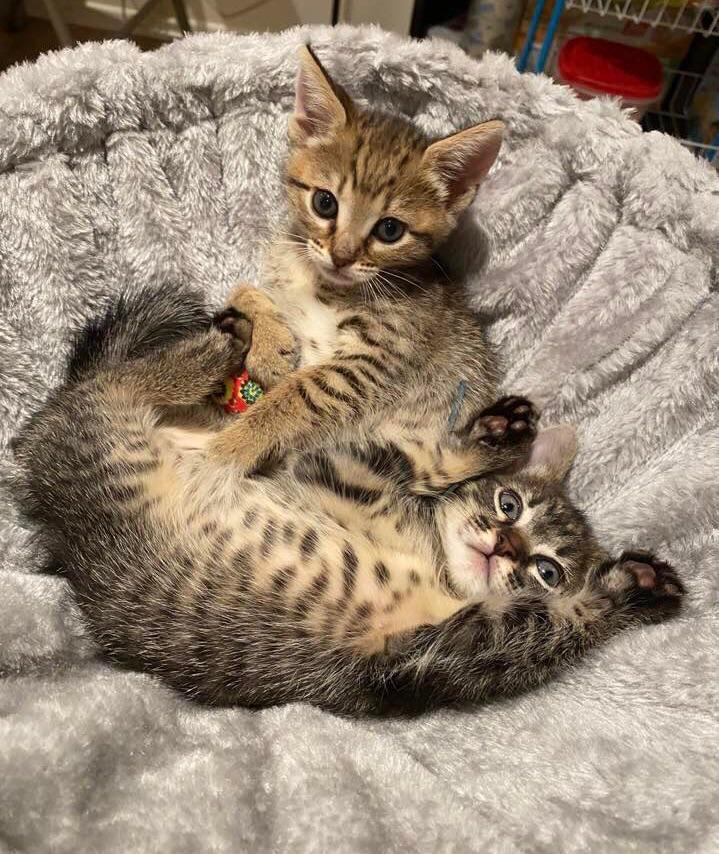 Caught in action! | Scrolller