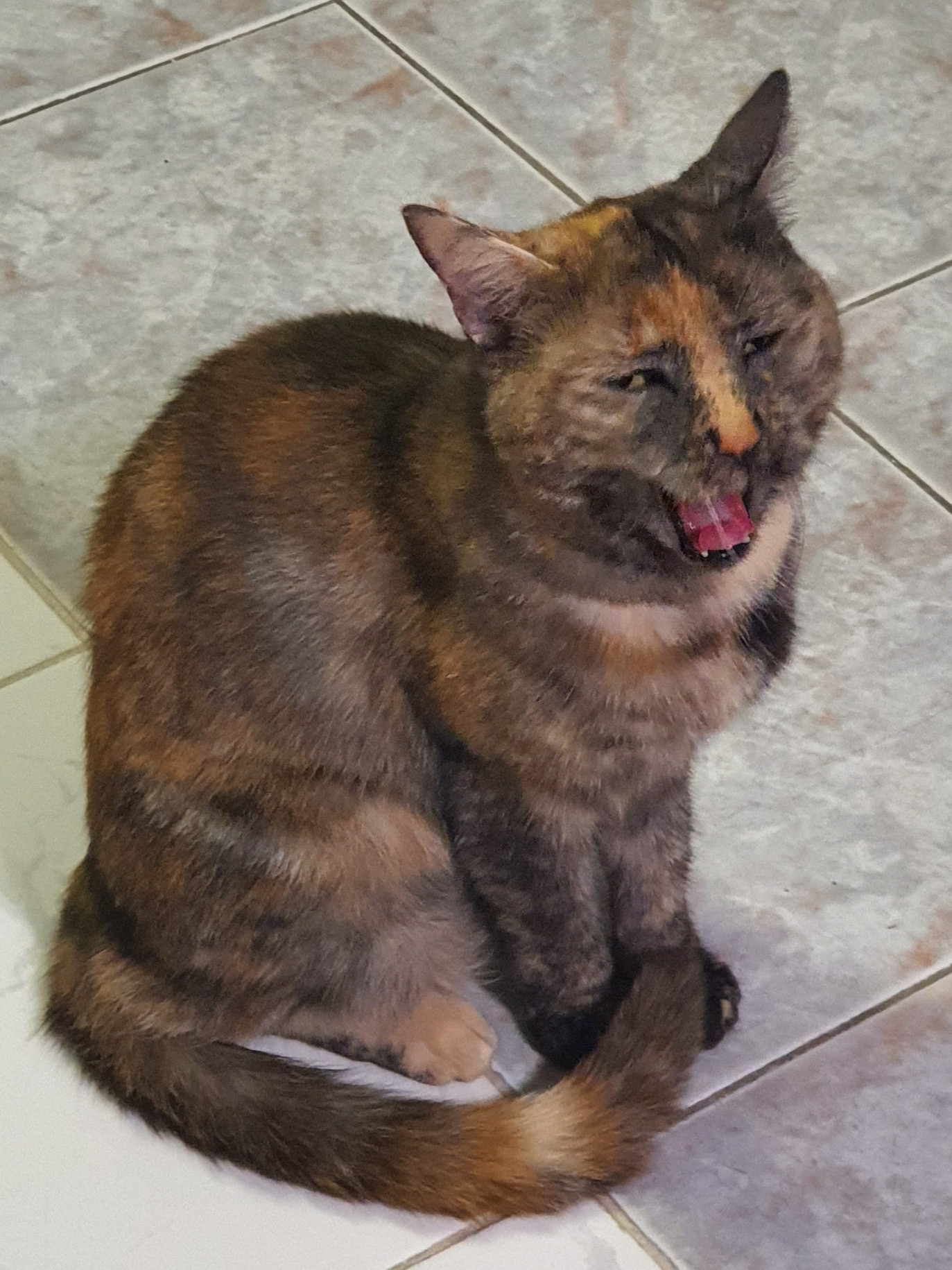 "Caught mid-yawn" scrunge | Scrolller