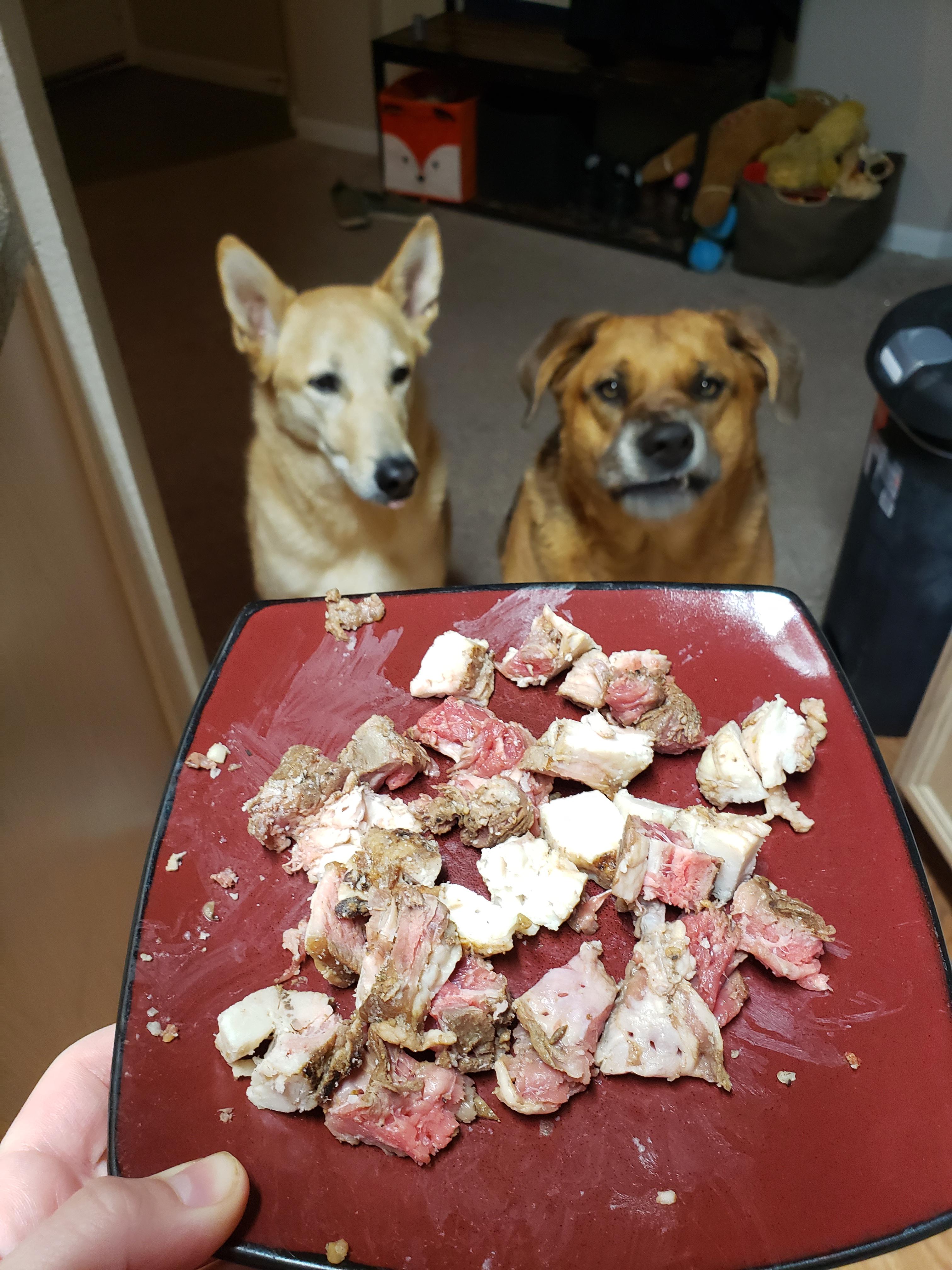 Caught one of my dogs making a face at the steak they were going to get. | Scrolller