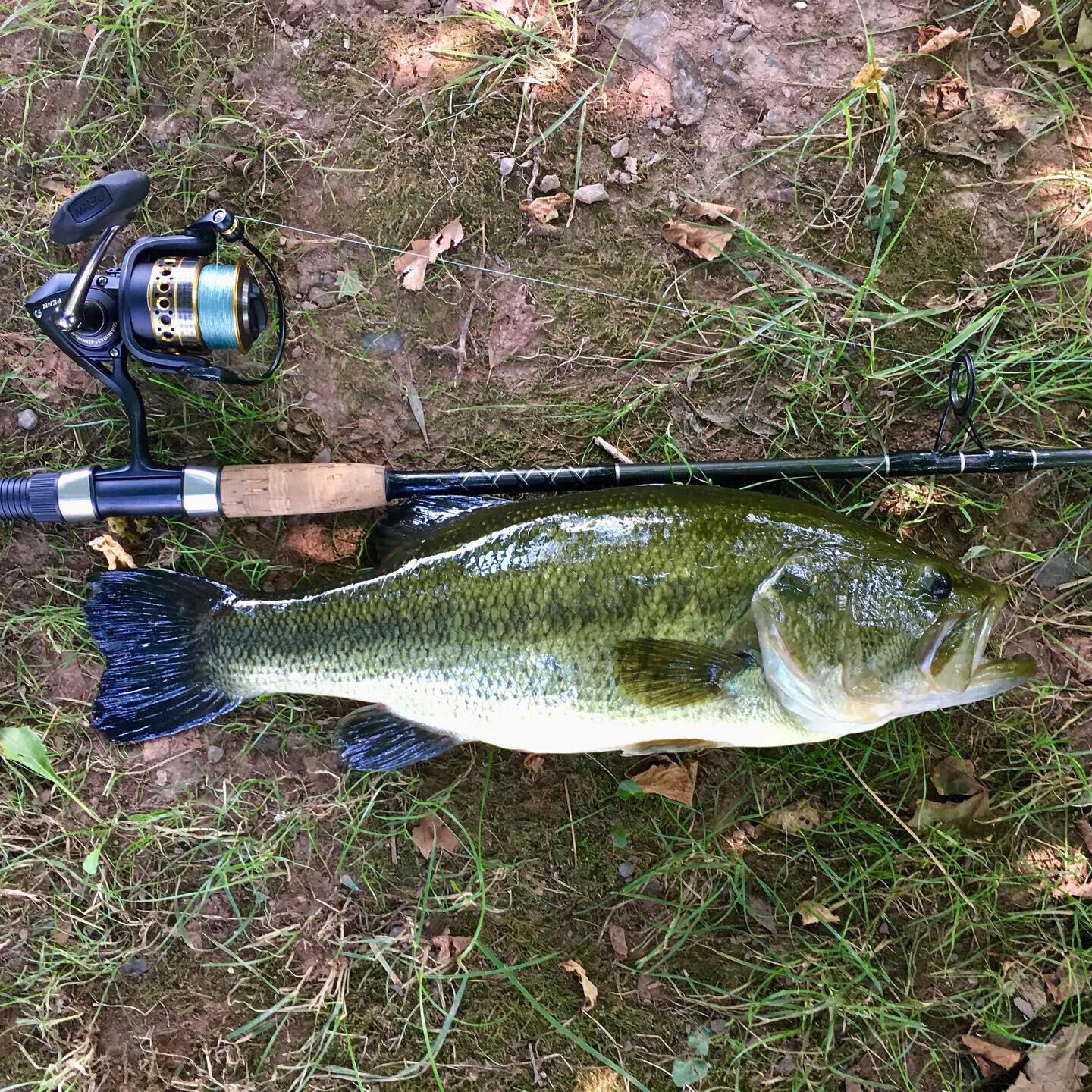 Caught some solid ones yesterday | Scrolller