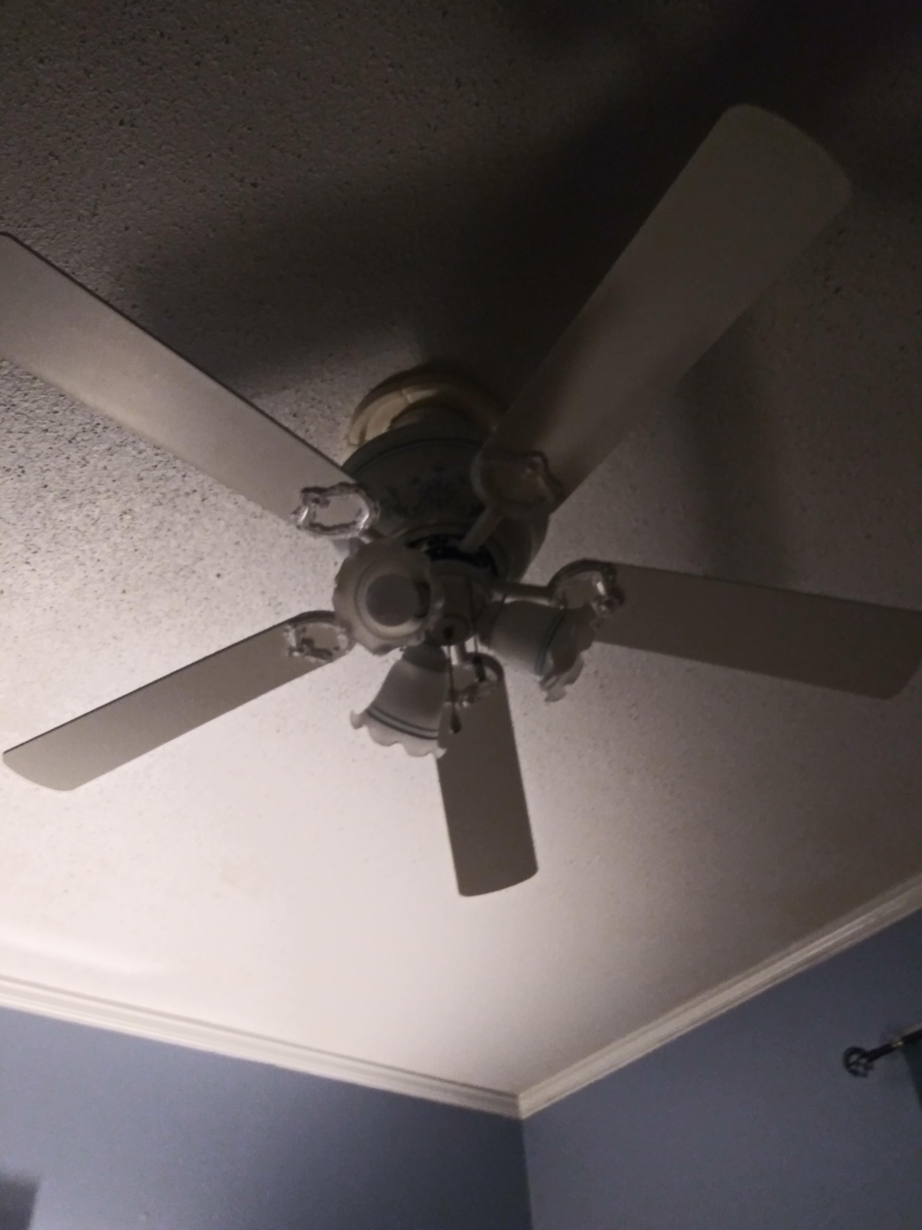 ceiling fan | Scrolller