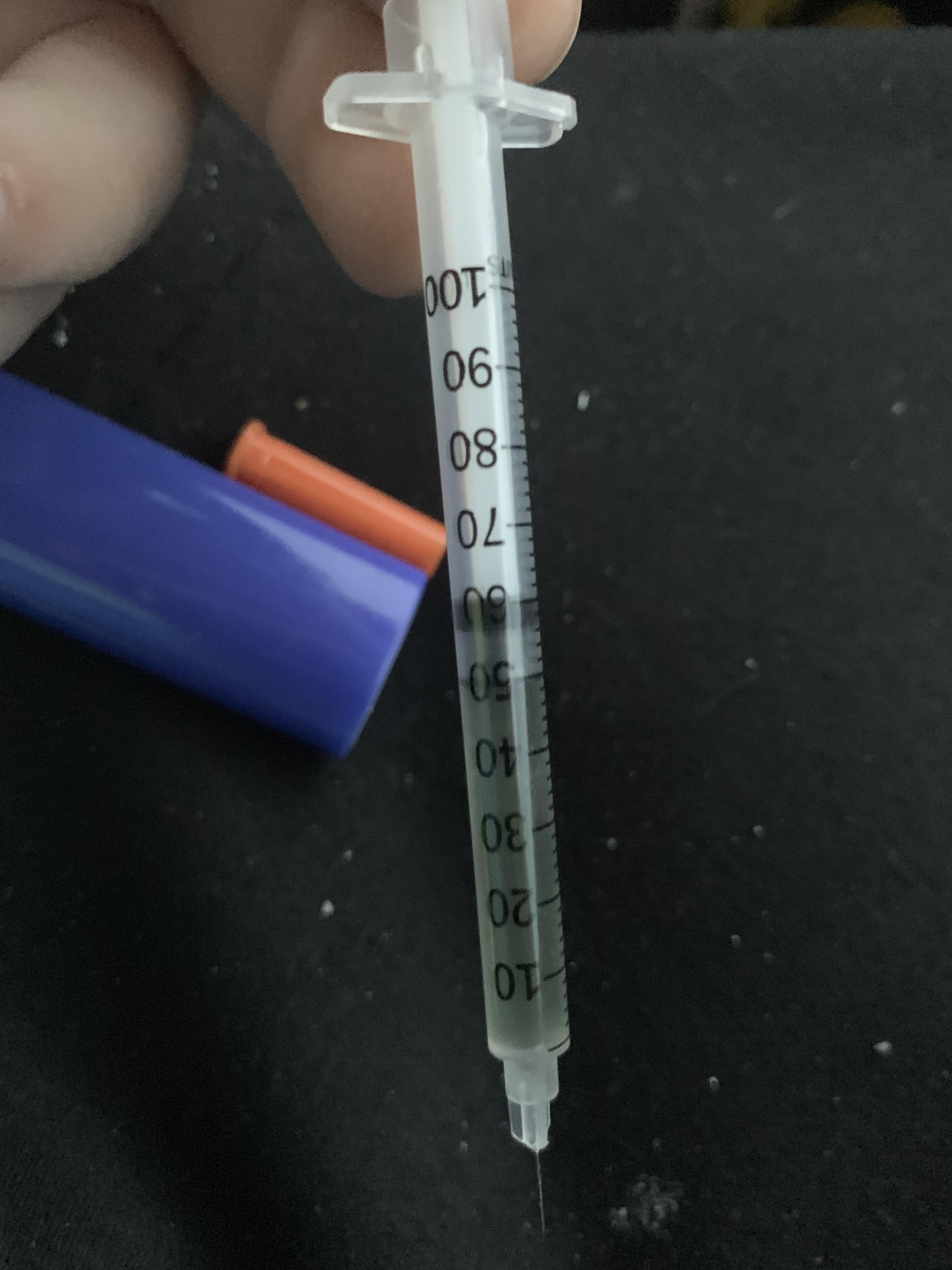 Celebrating the Nationals win properly. | Scrolller