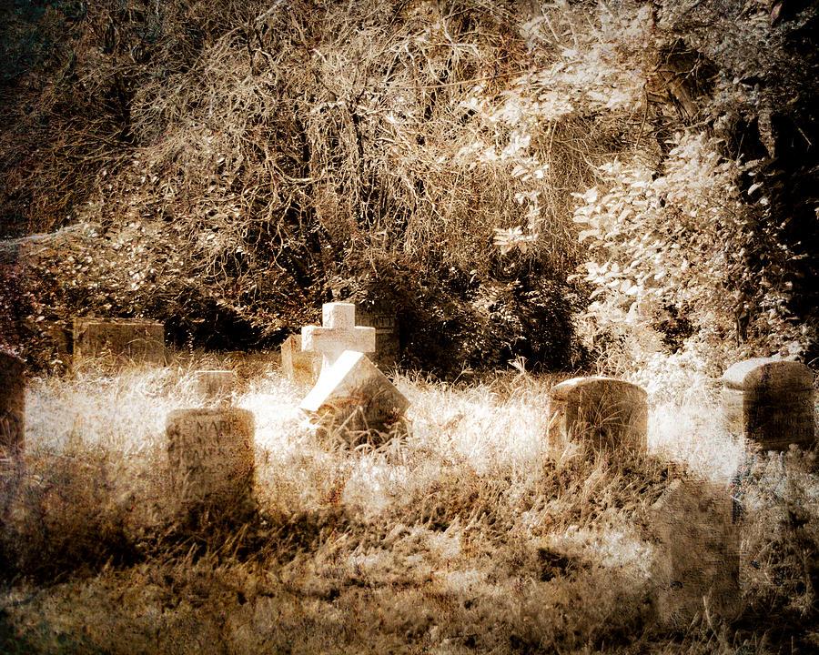Cemetery | Scrolller