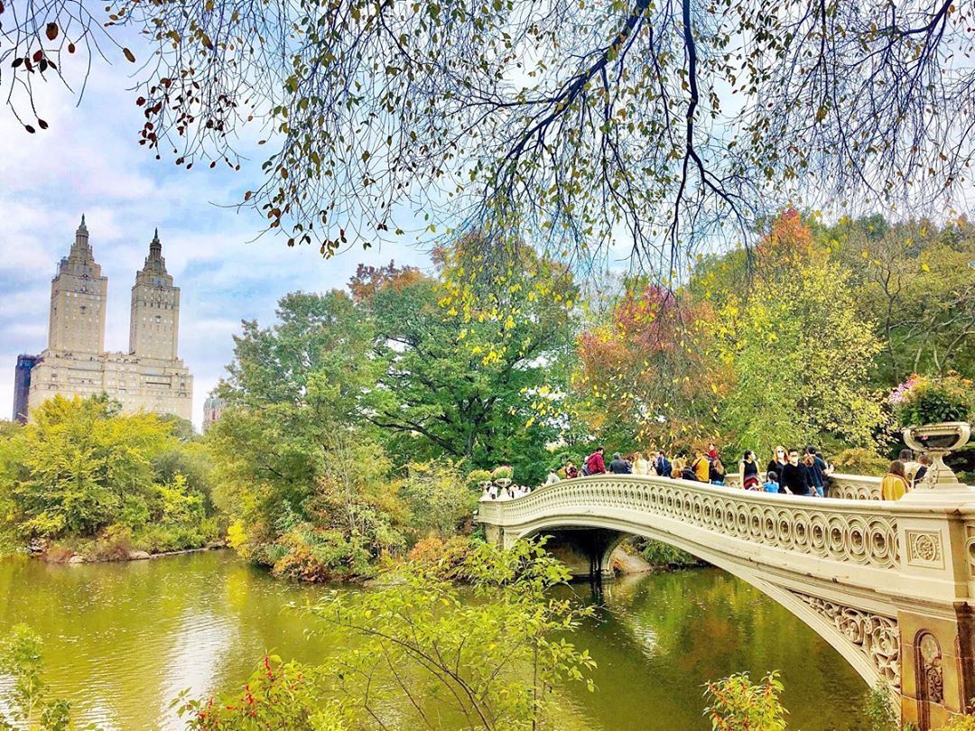 Central Park Bridge, New York | Scrolller