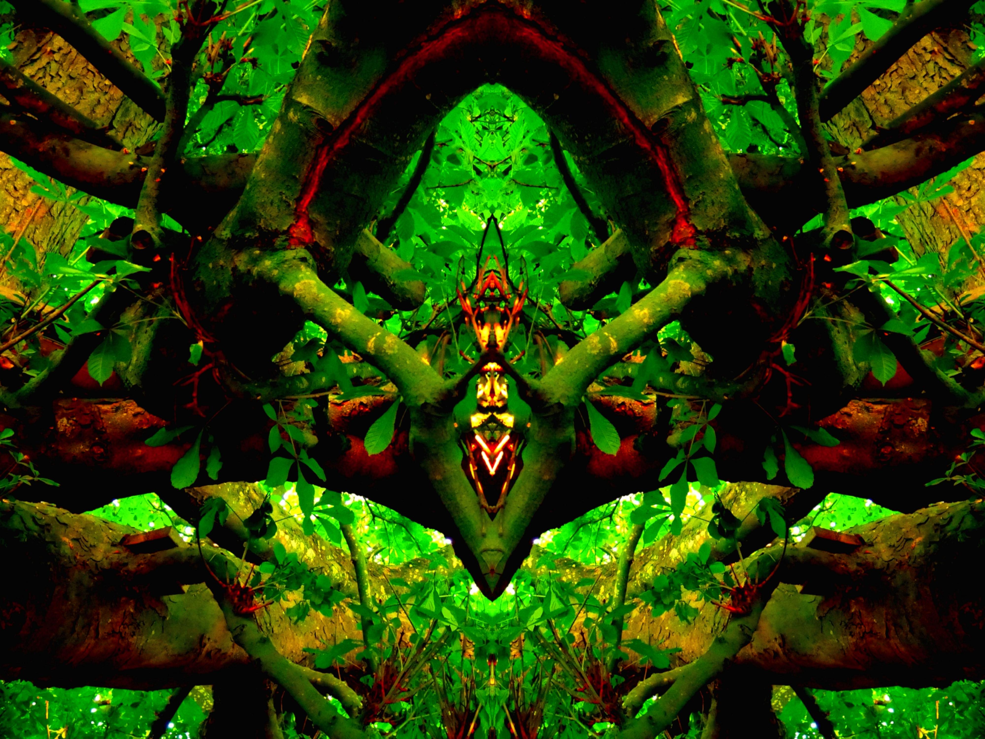 'Cernunnos', the Horned God of the Celts, pareidolic photo-sculpture from the Hill of Tara ...