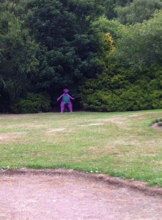 cha cha silde | Scrolller