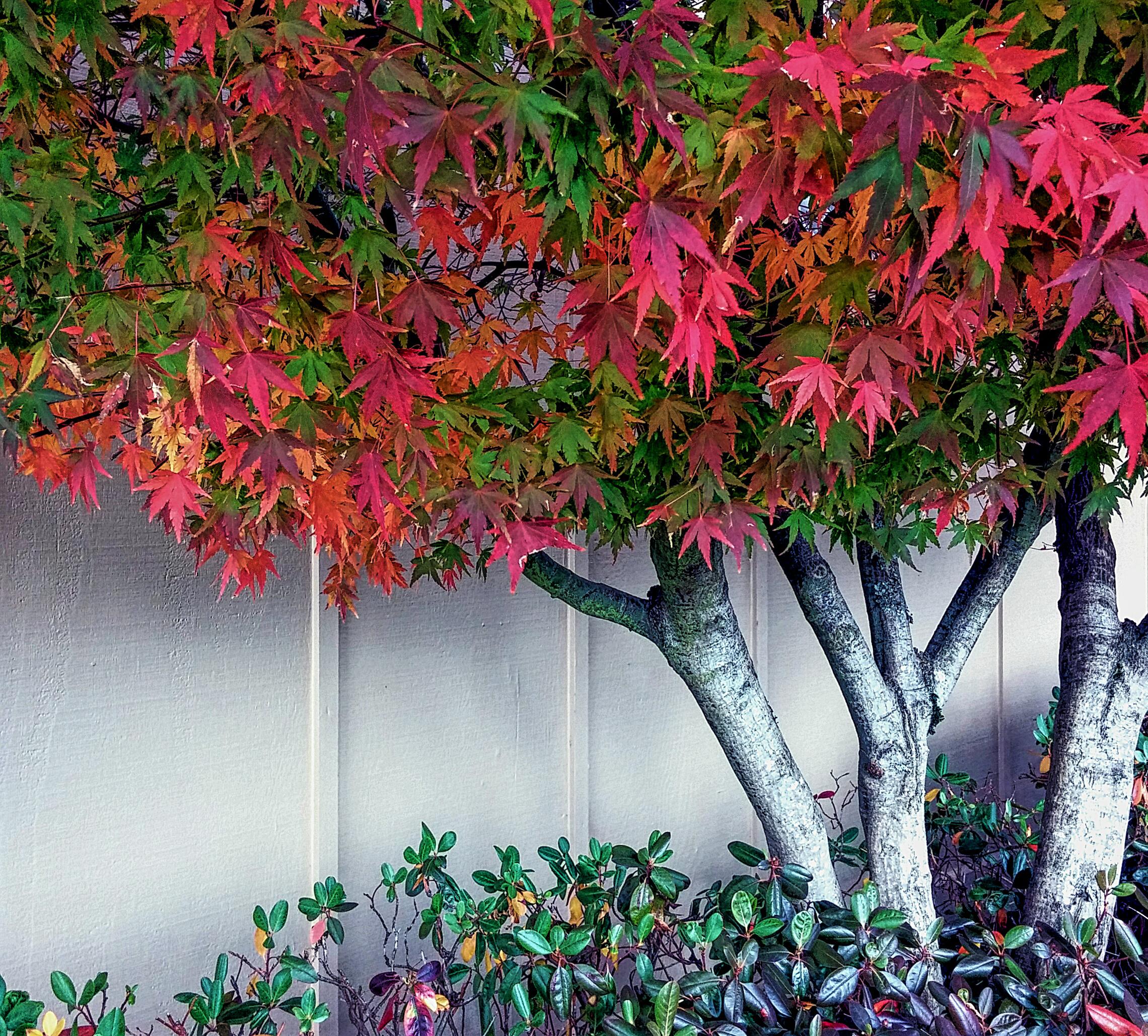 Changing seasons, Eugene Oregon [2280x2058] | Scrolller