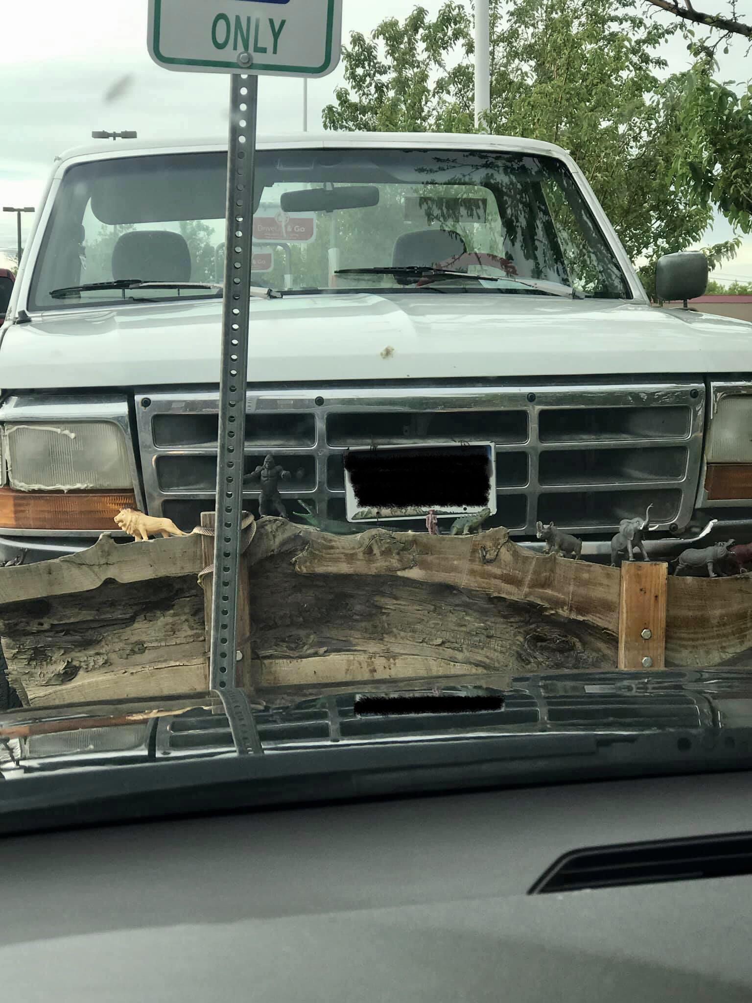 Check out the bumper | Scrolller