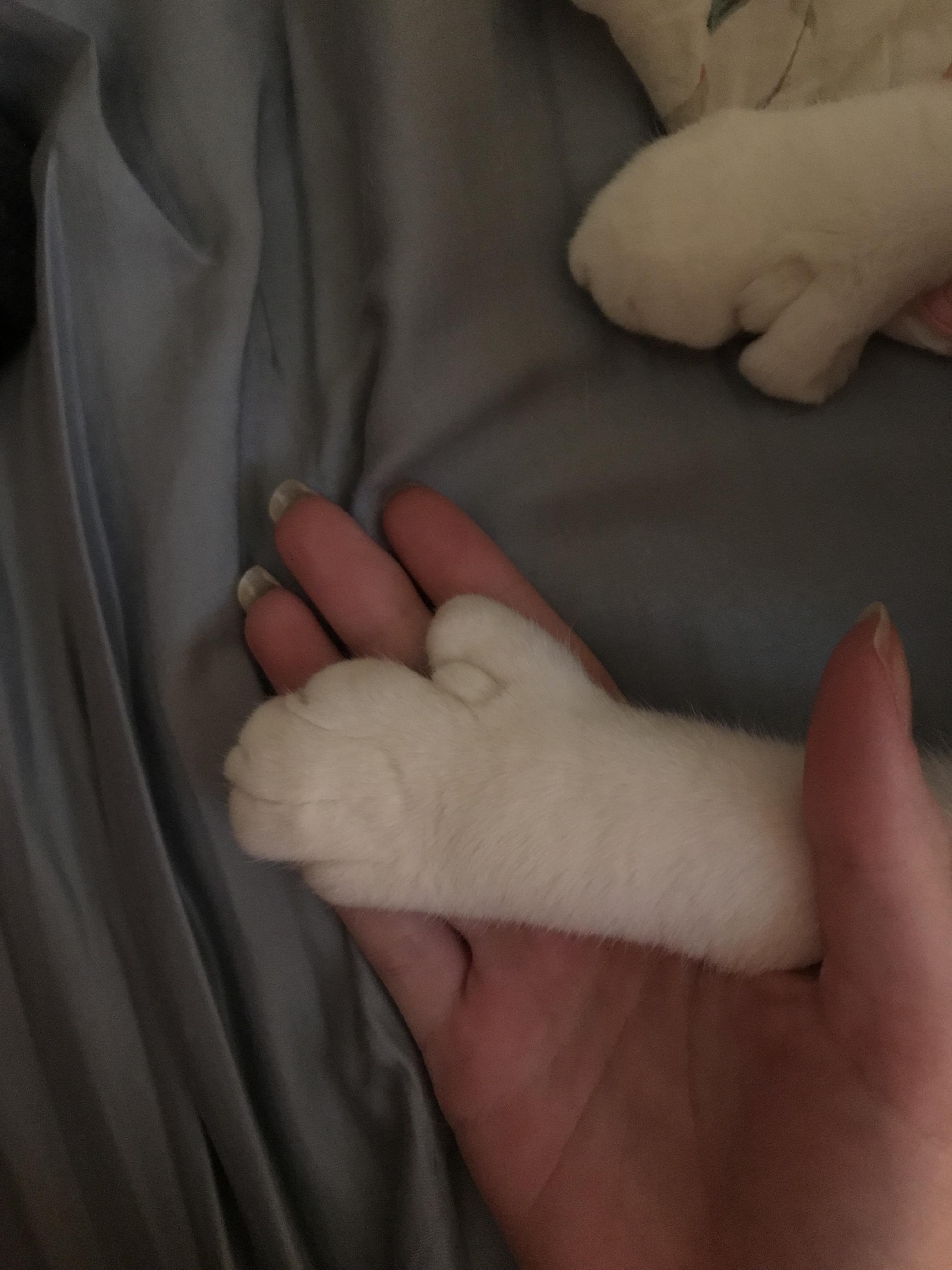 Check out these soft little mittens! | Scrolller