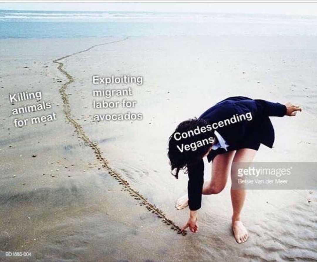 Checkmate vegans | Scrolller