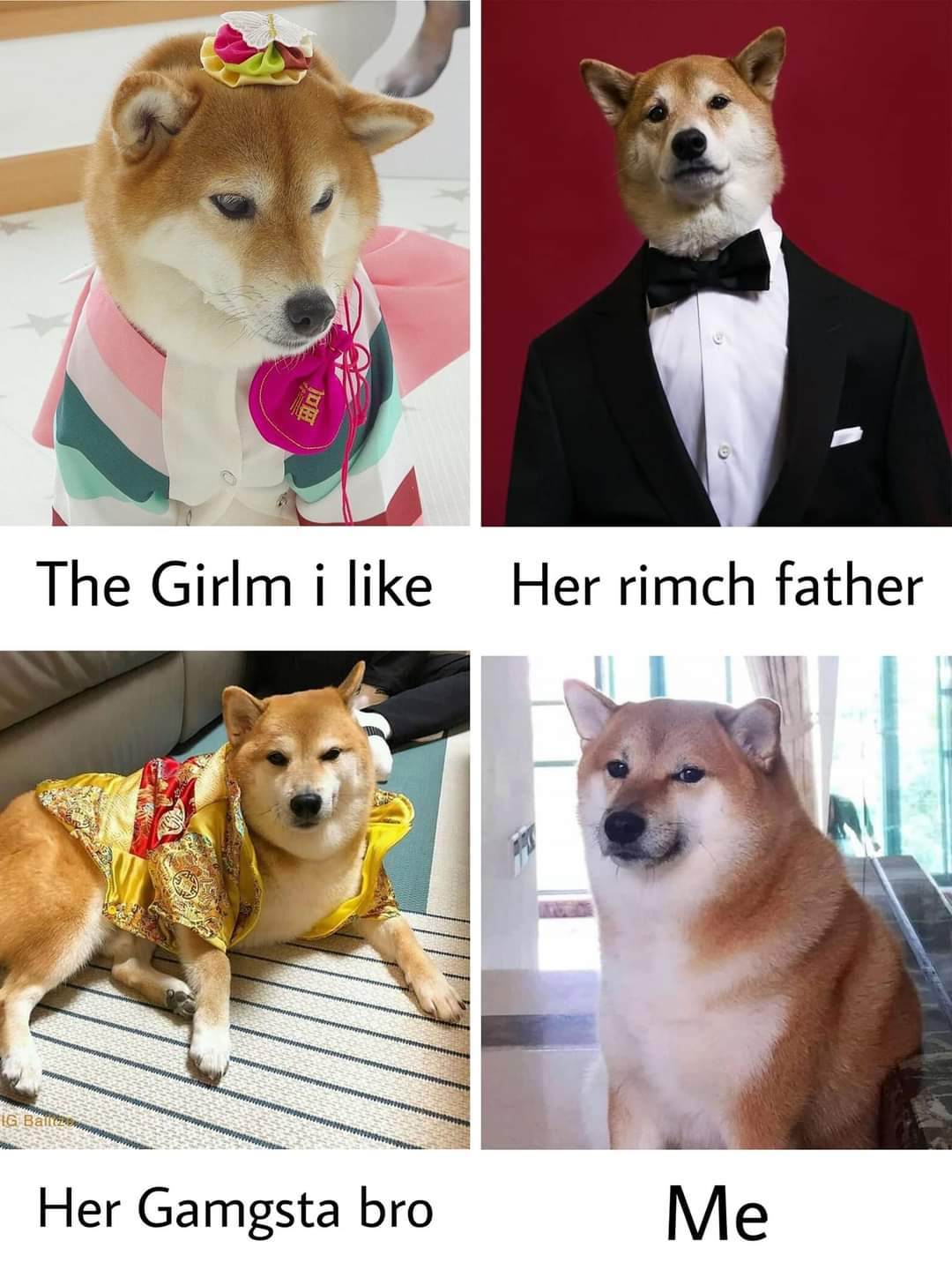 Cheems got no chill | Scrolller